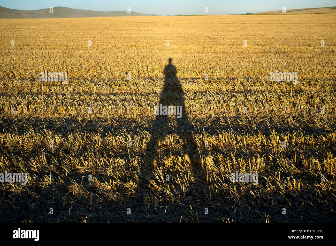 shadow of person in field Stock Photo - Alamy