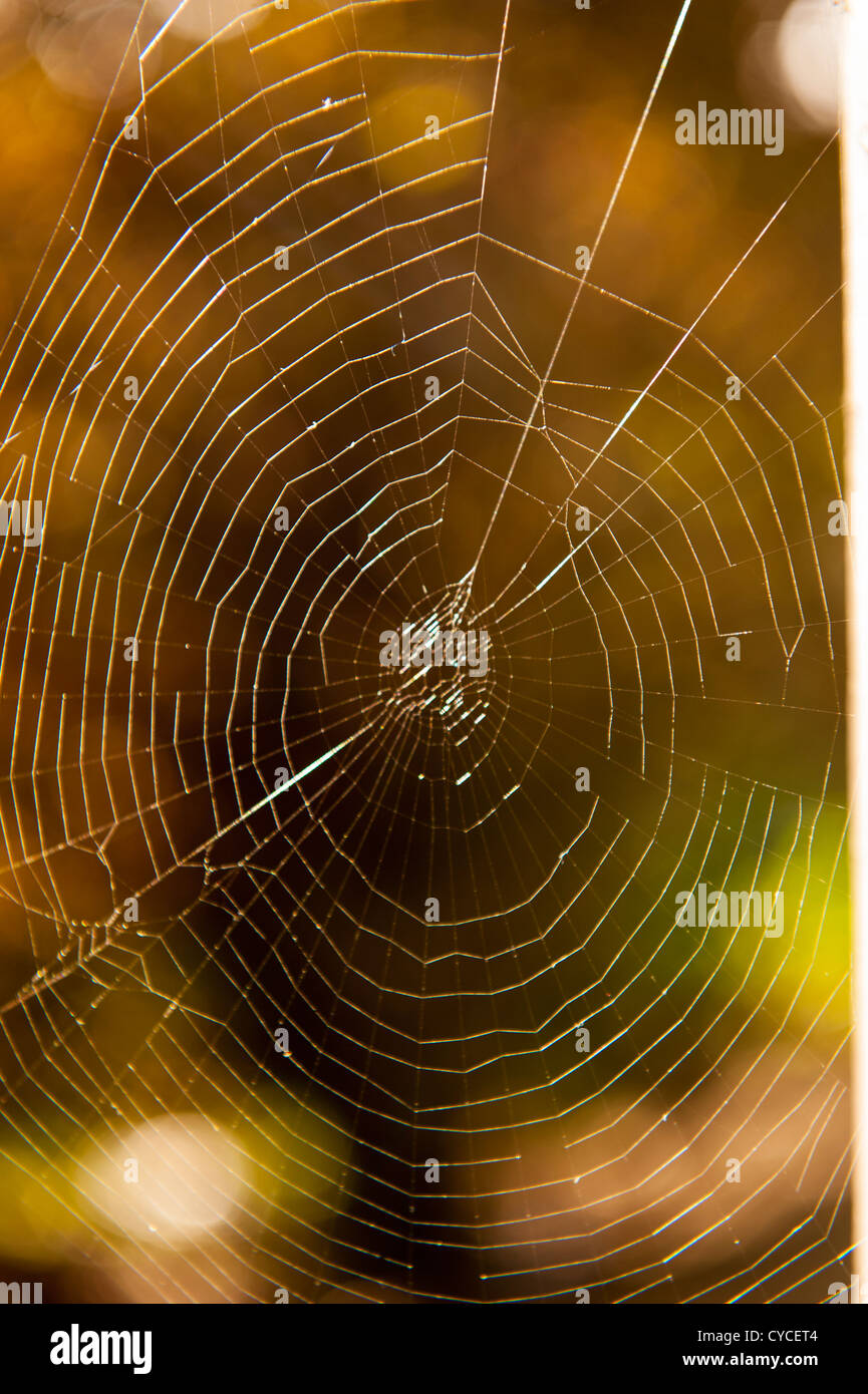 London Brent Cross Shopping Centre Center mall flyover spider spiders ...