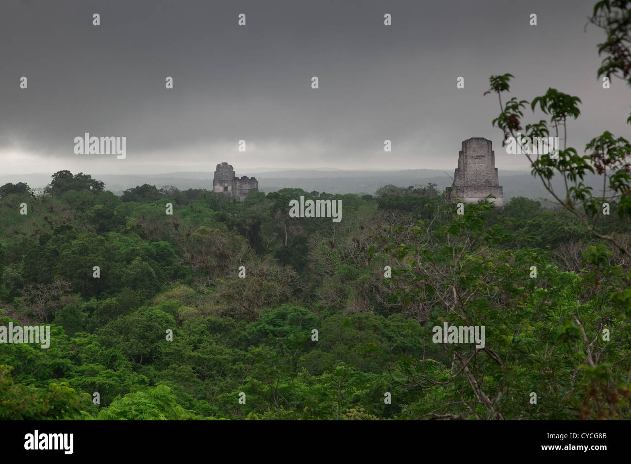 Views across the treetops of the spectacular ancient Mayan ruins of ...