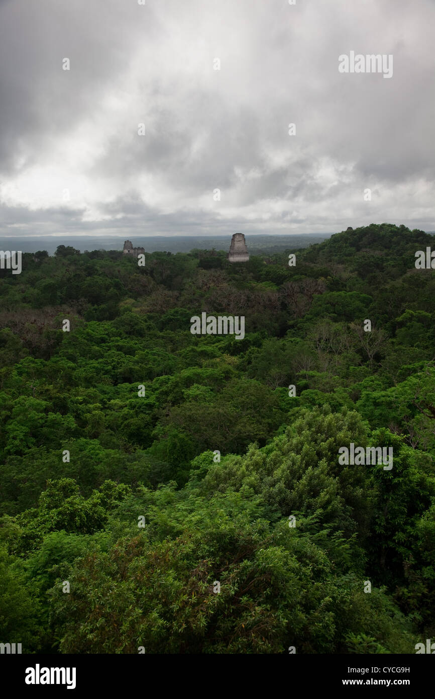 Views across the treetops of the spectacular ancient Mayan ruins of ...