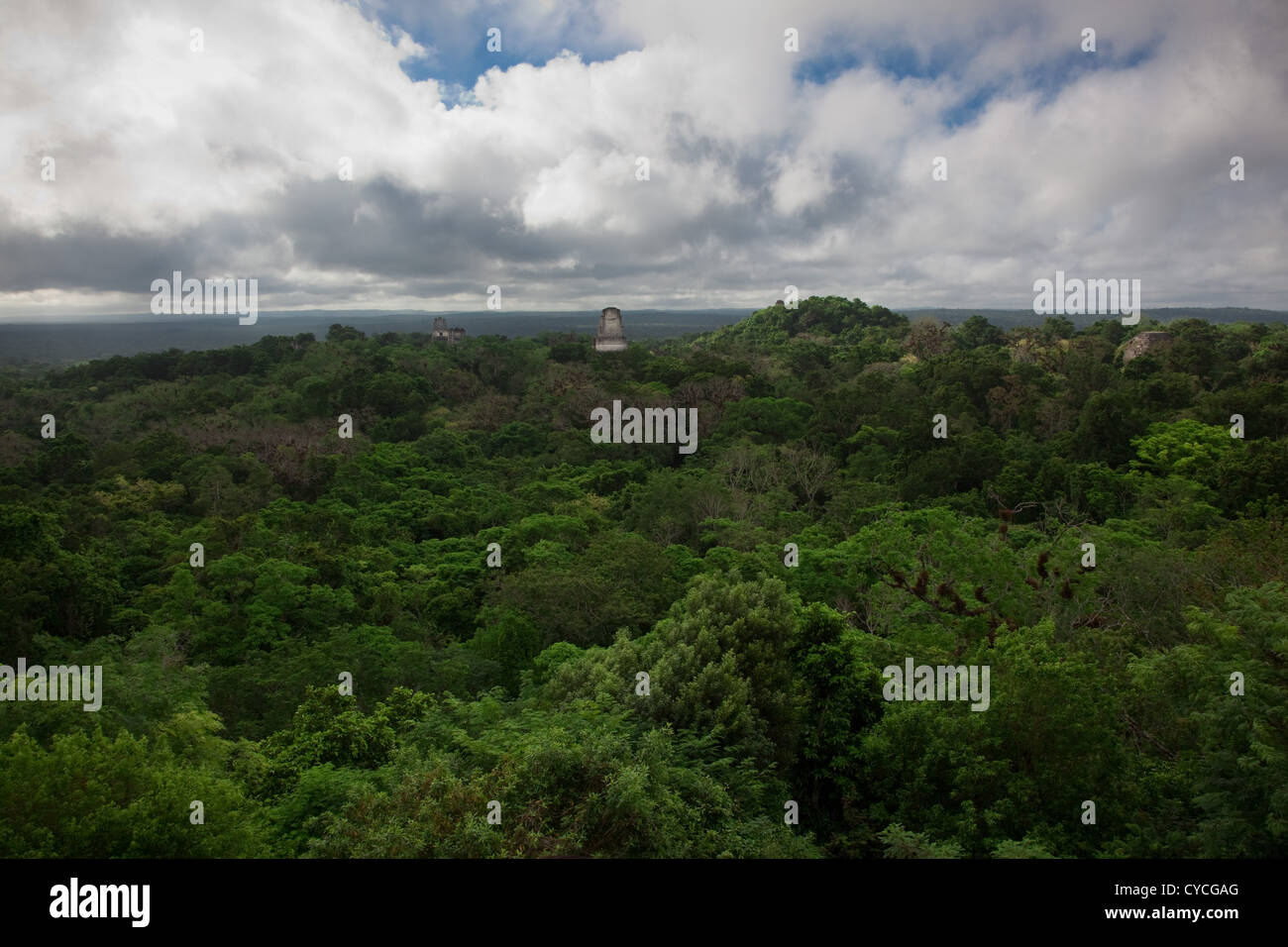 Views across the treetops of the spectacular ancient Mayan ruins of ...