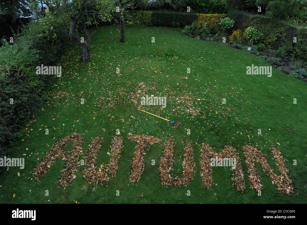 The word autumn written in leaves in a garden in north yorkshire Stock ...