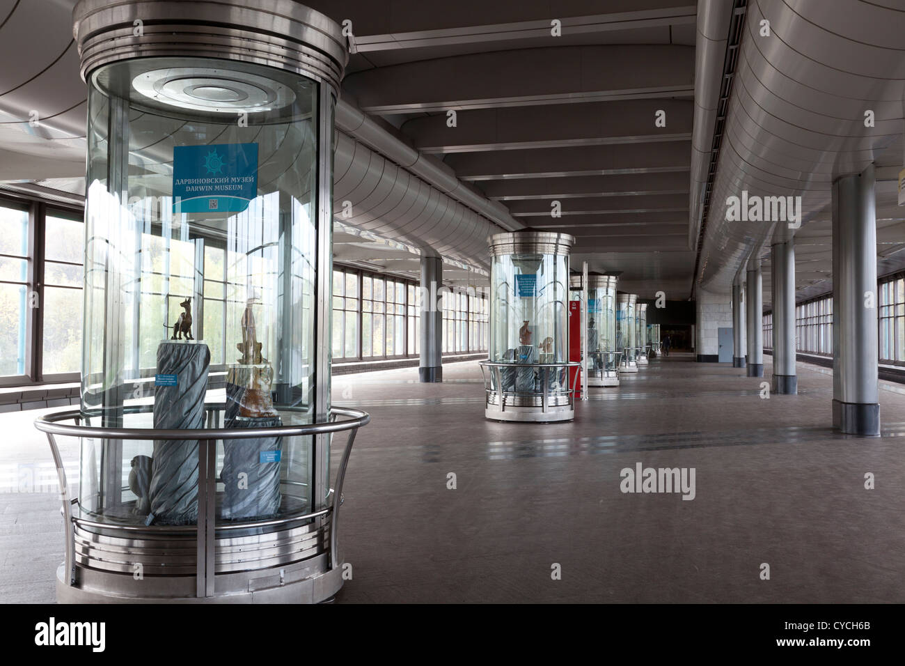 Vorobyevy Gory Metro station with exhibition by the Darwin Museum ...