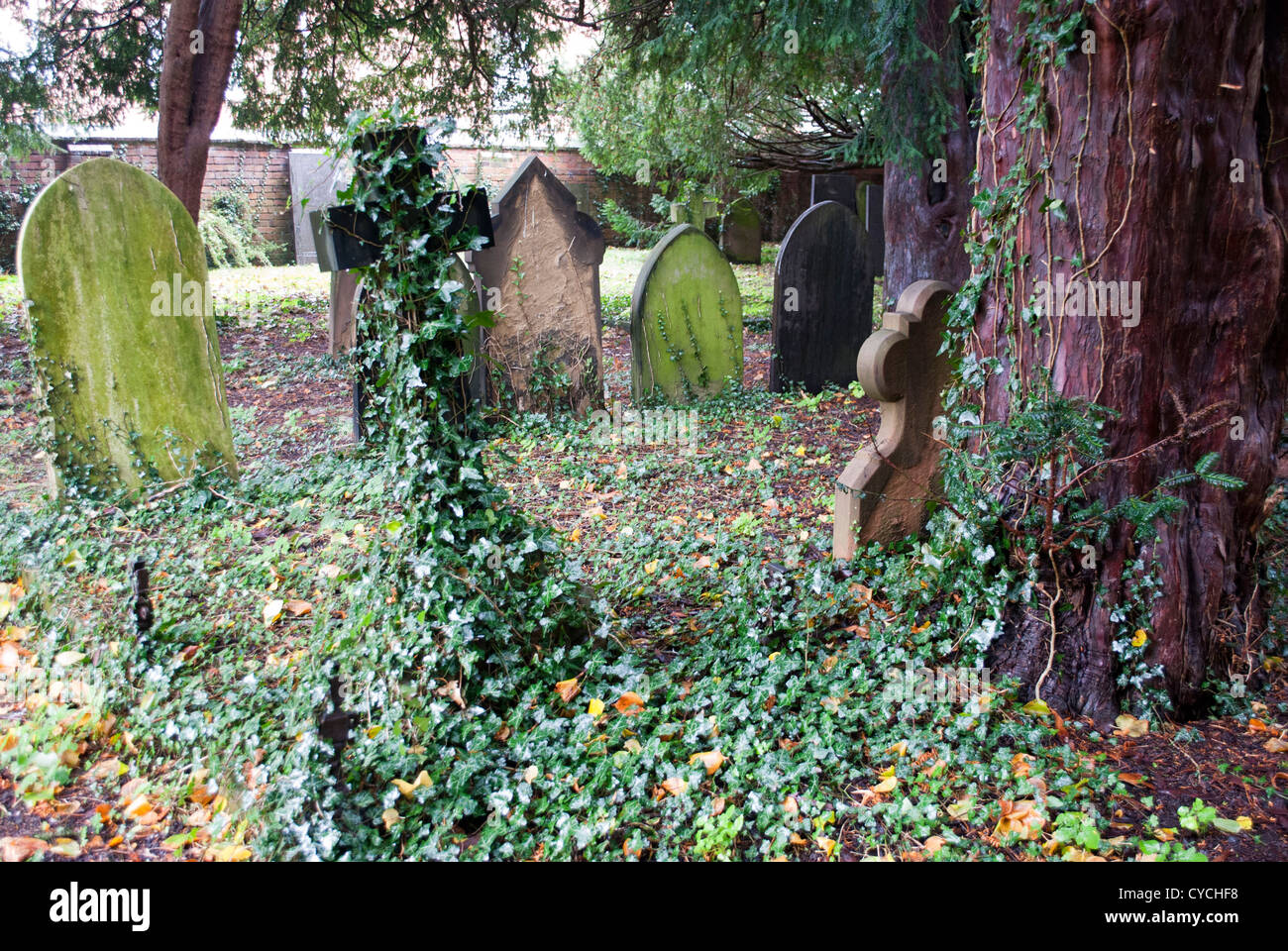 Ivy covered cross and old gravestones at Church of St. Mary and All ...