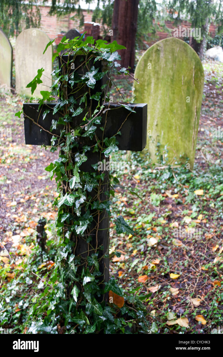 Ivy covered cross and old gravestone at Church of St. Mary and All ...
