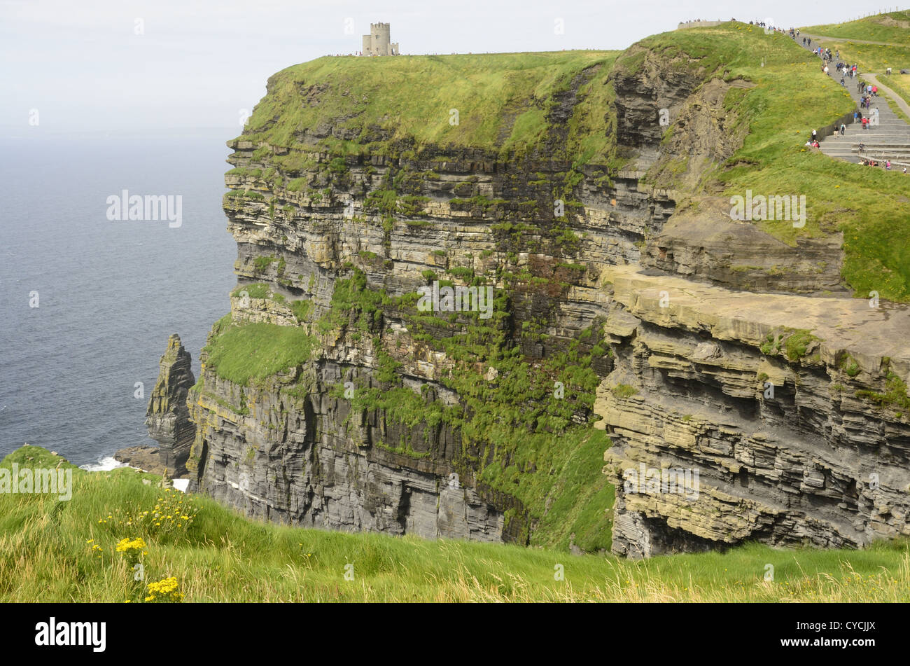 The famous Cliffs of Moher in Ireland Stock Photo - Alamy