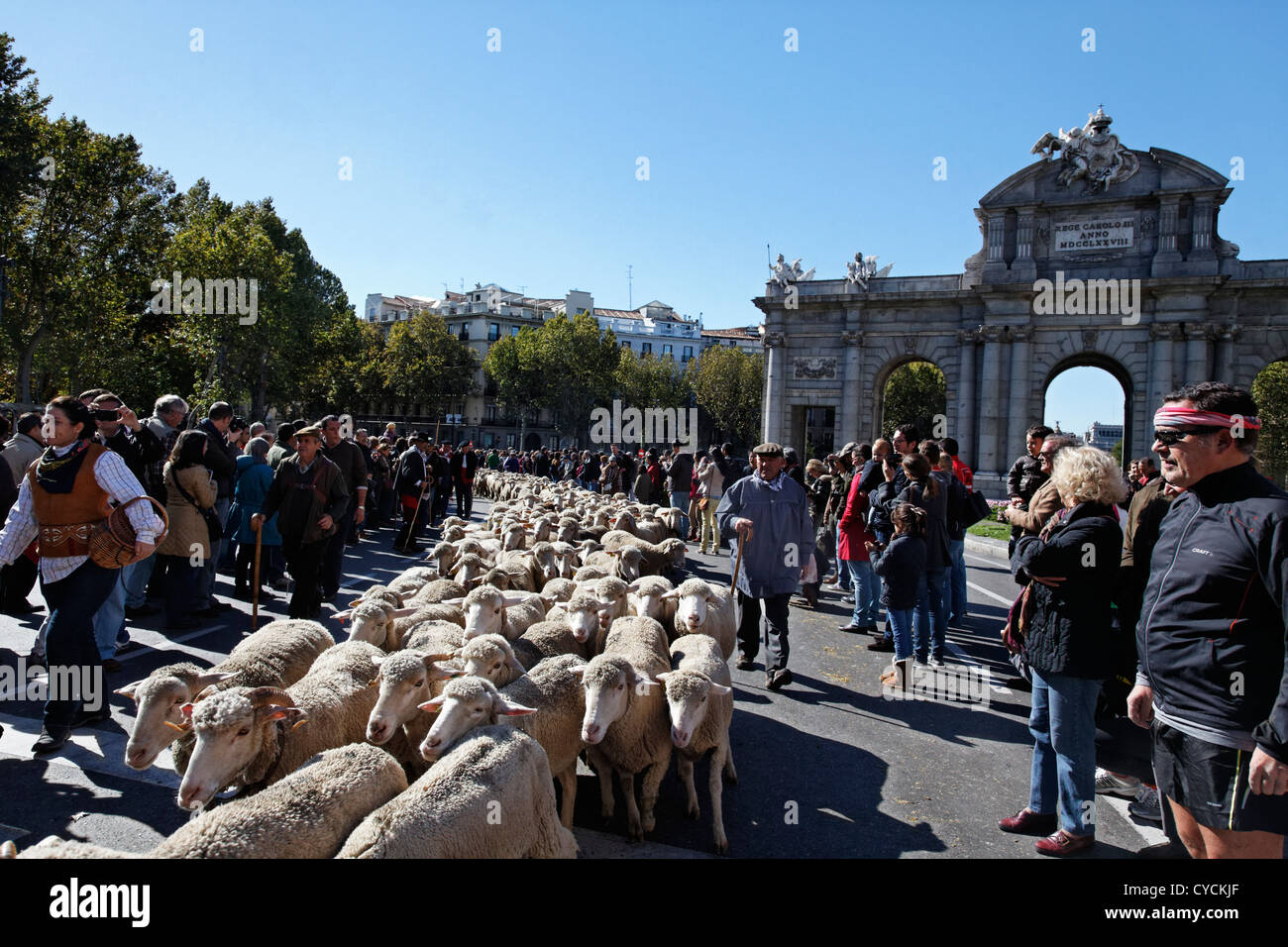 Sheep heart hi-res stock photography and images - Alamy