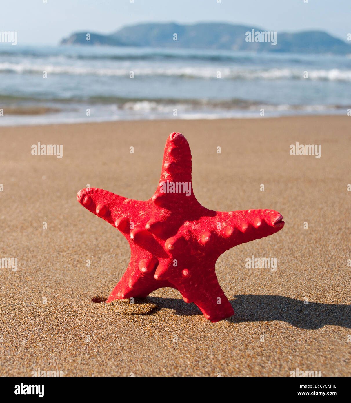 Red starfish on sunny tropical beach Stock Photo - Alamy