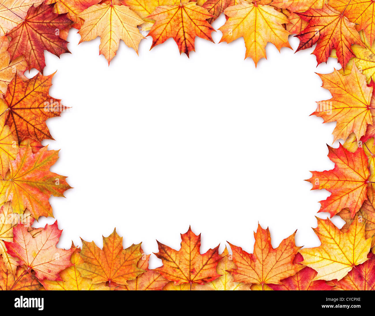 Autumn background with maple leaves Stock Photo - Alamy