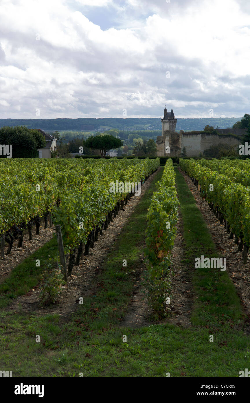 France loire region chinon hi-res stock photography and images - Alamy