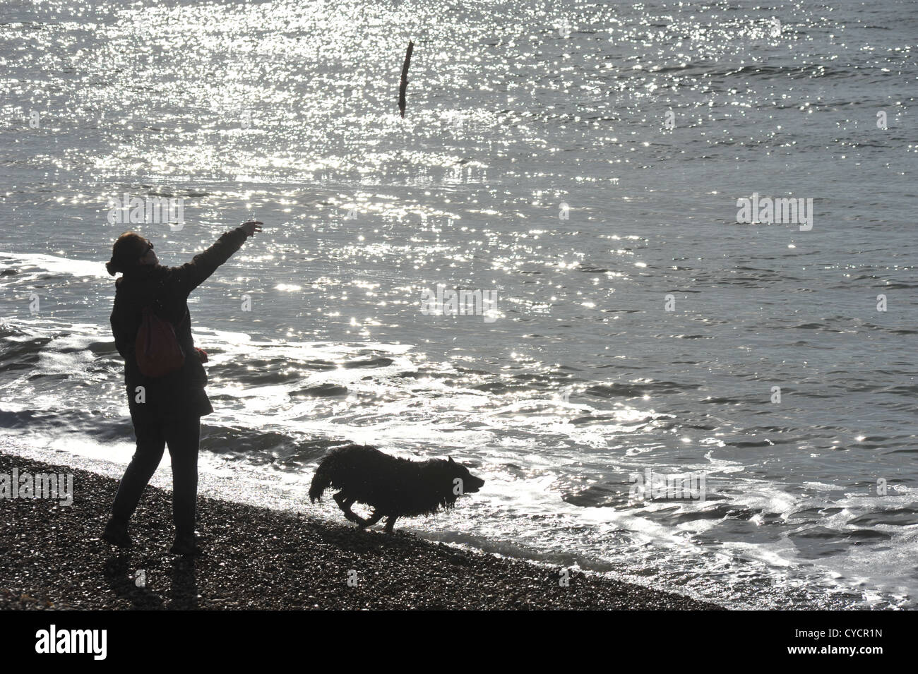 Throwing stick hi-res stock photography and images - Alamy