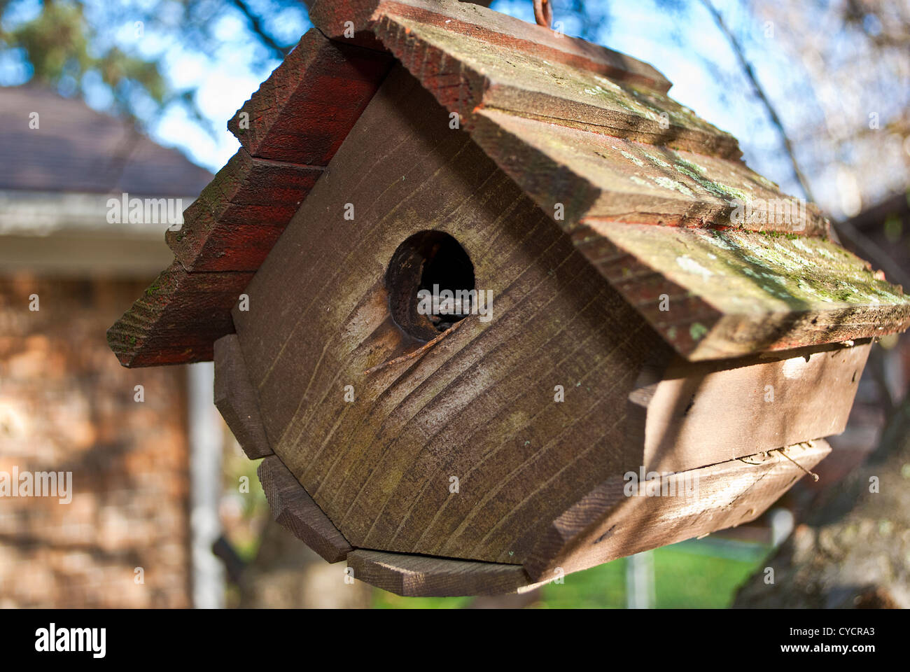 A well-used backyard birdhouse Stock Photo - Alamy