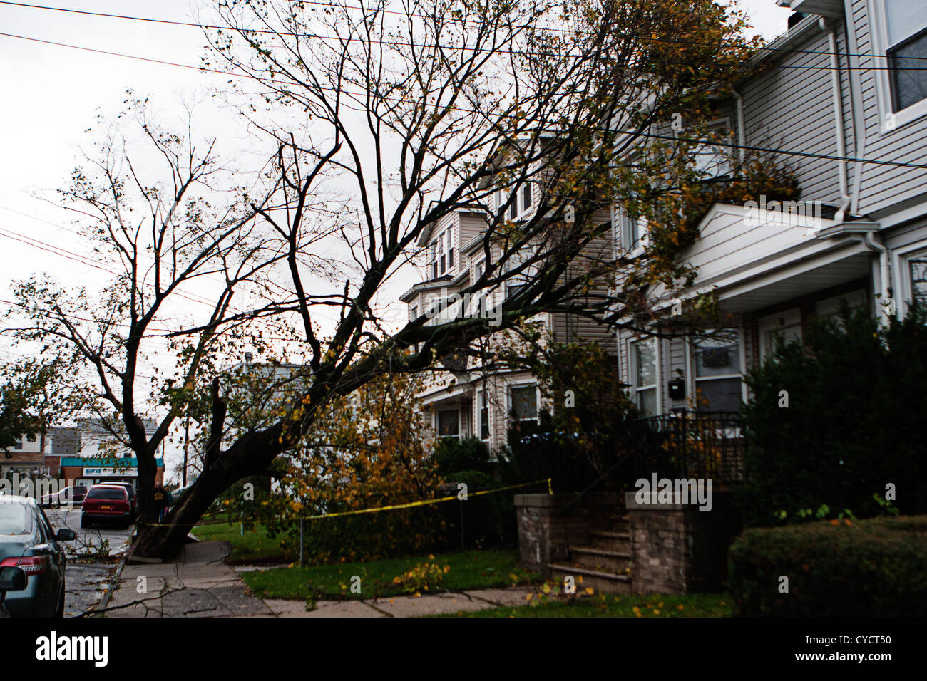 Tree fell on house during Super Storm Sandy Stock Photo - Alamy