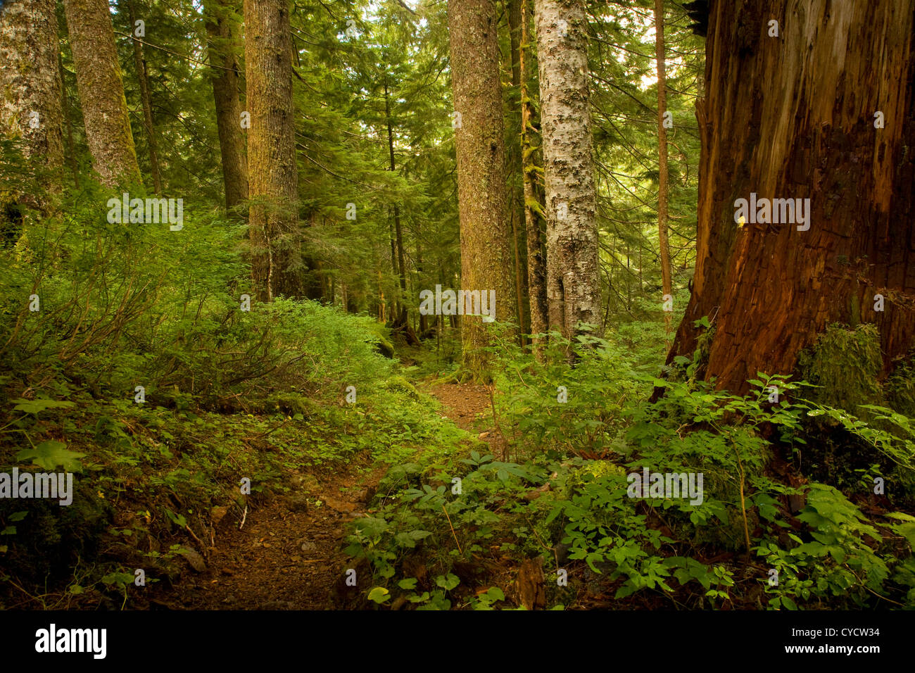 Colonel bob wilderness hi-res stock photography and images - Alamy