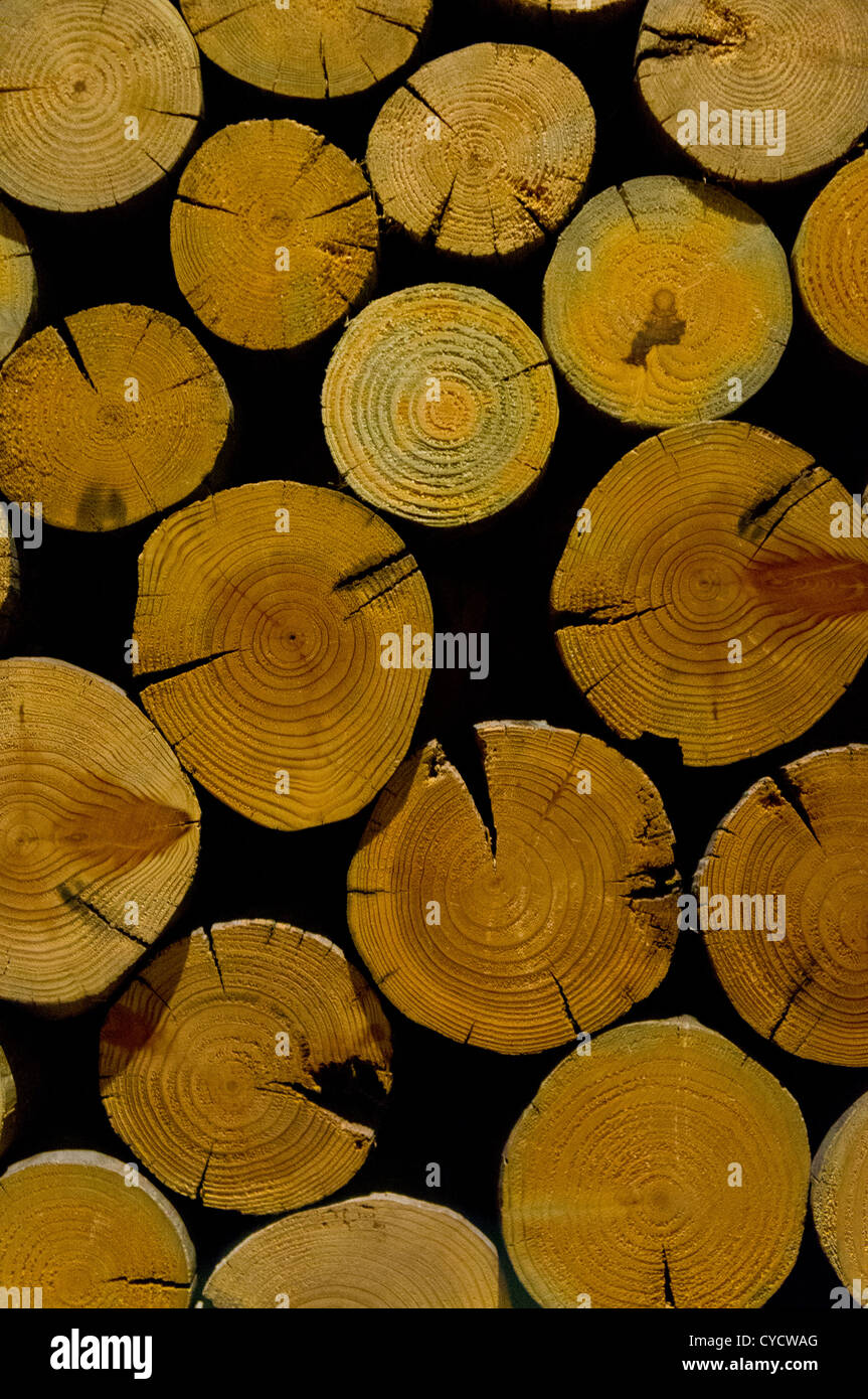 Chip Log Stock Photos & Chip Log Stock Images - Alamy