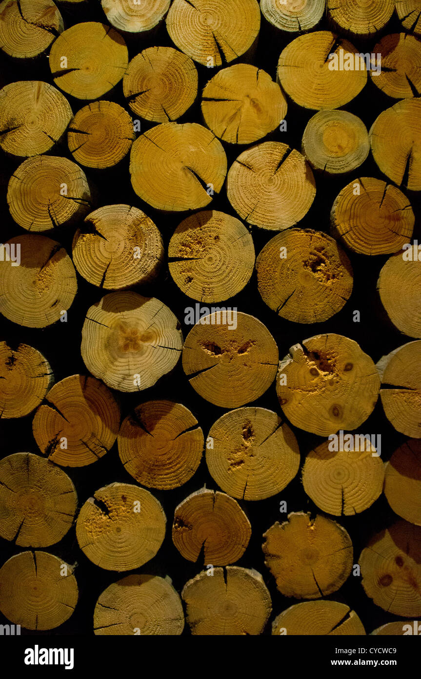 Close up shot of a stack of logs Stock Photo - Alamy