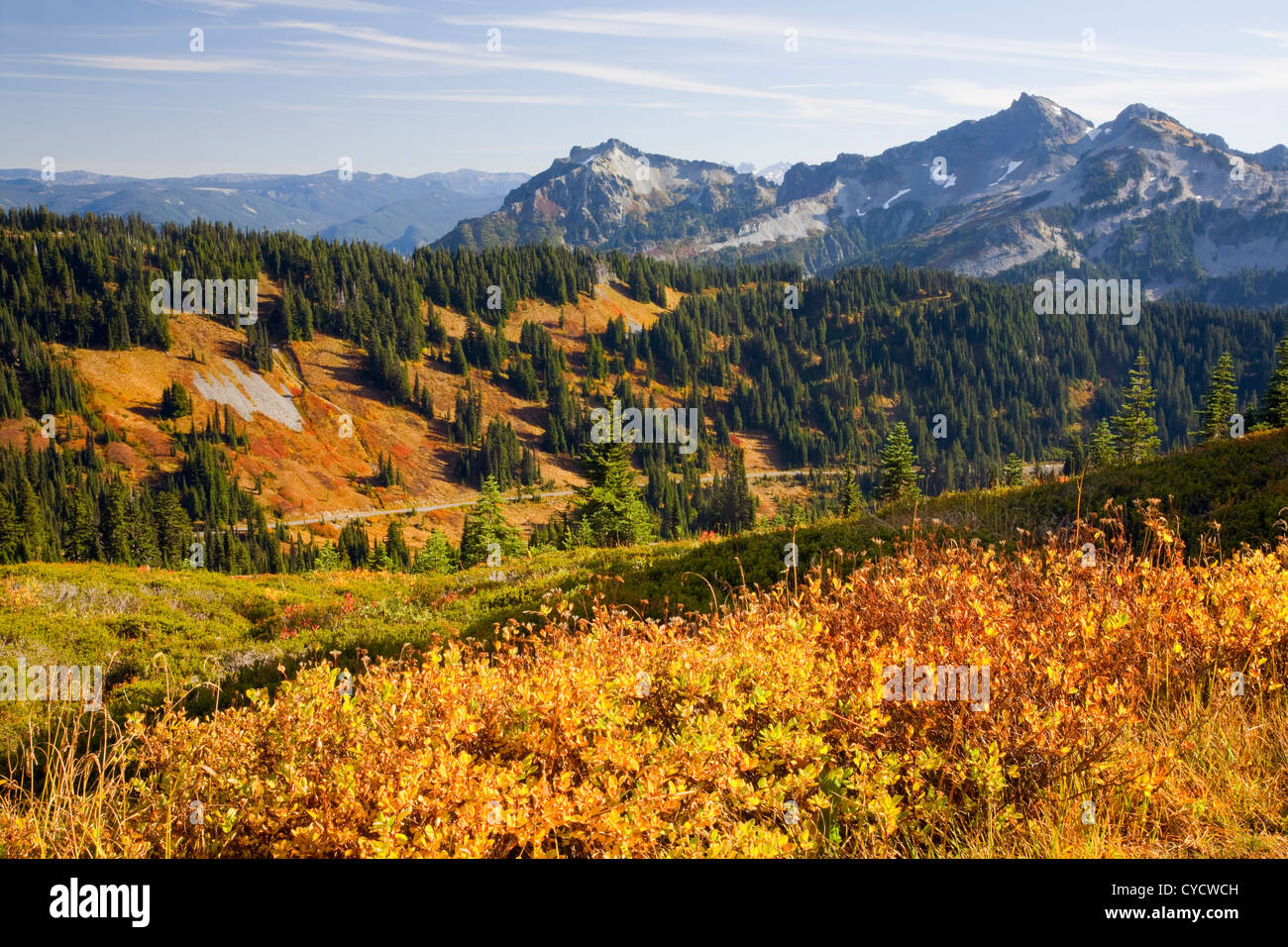 Fall color along the Alta Vista Trail overlooking the Paradise Valley ...