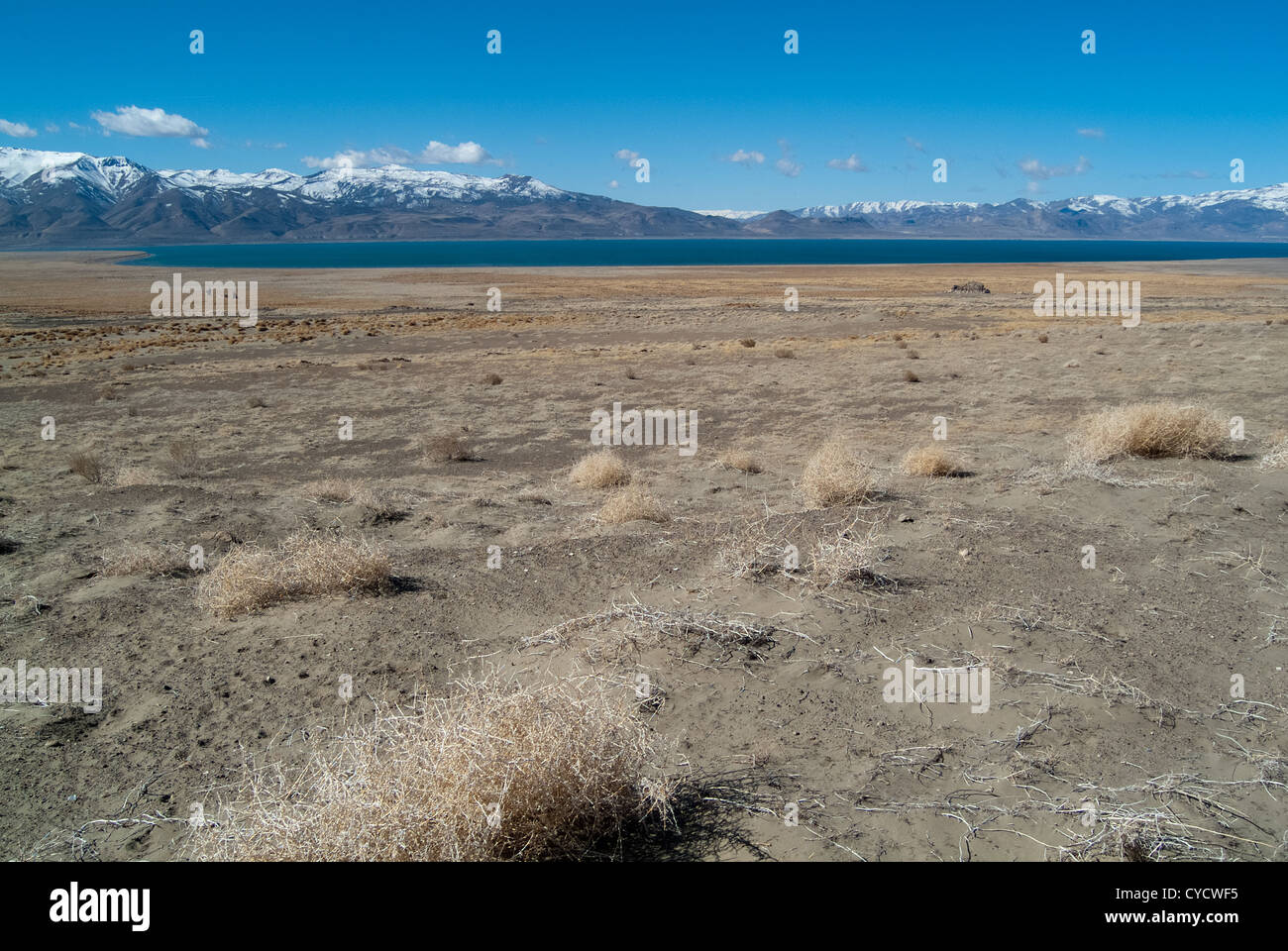 Pyramid lake nevada hi-res stock photography and images - Alamy