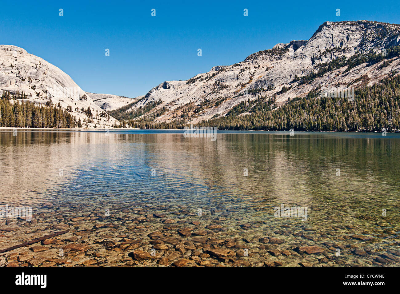 Tenaya Lake, Yosemite National Park, California, USA Stock Photo - Alamy