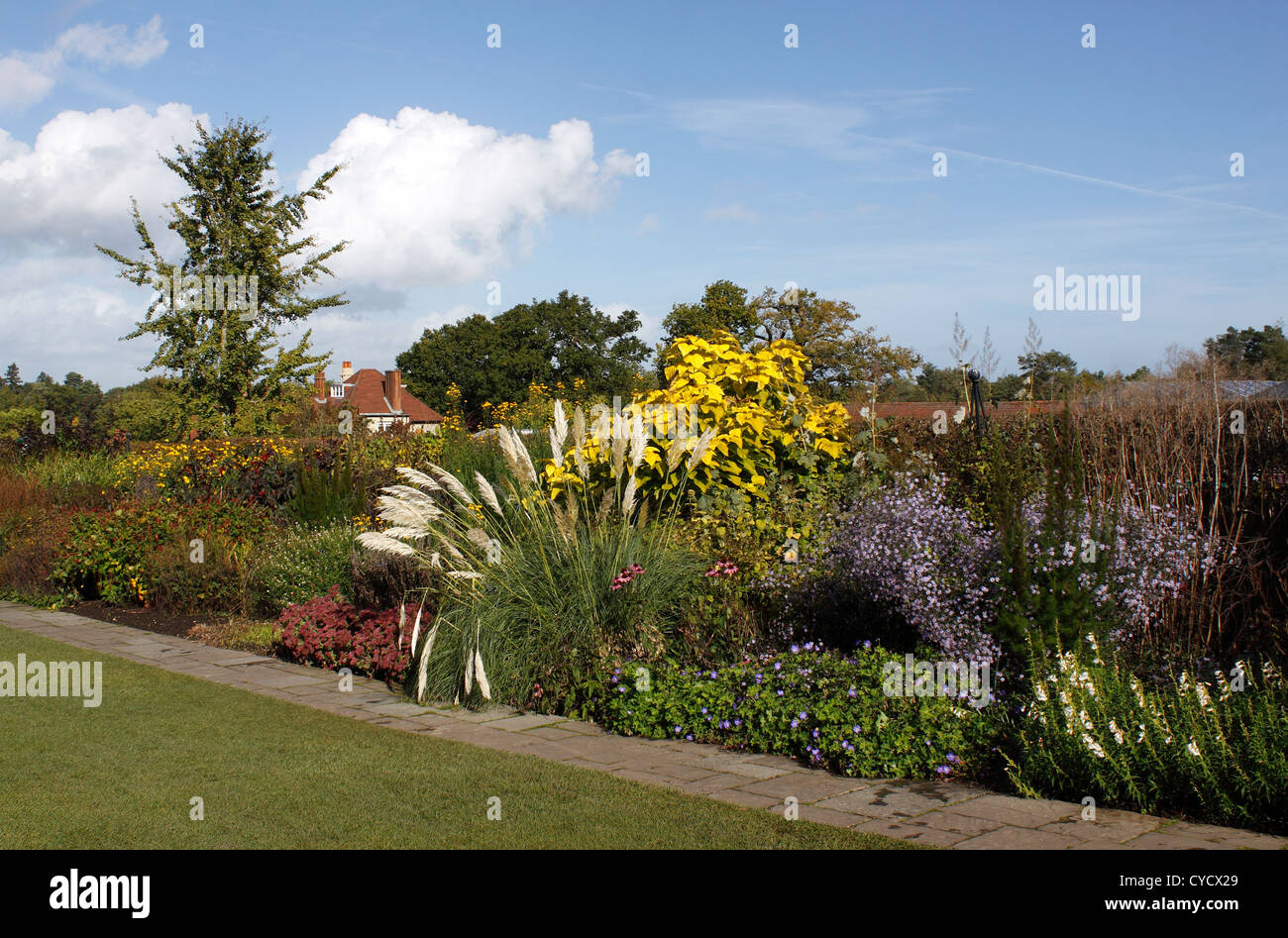 Borders border hi-res stock photography and images - Alamy