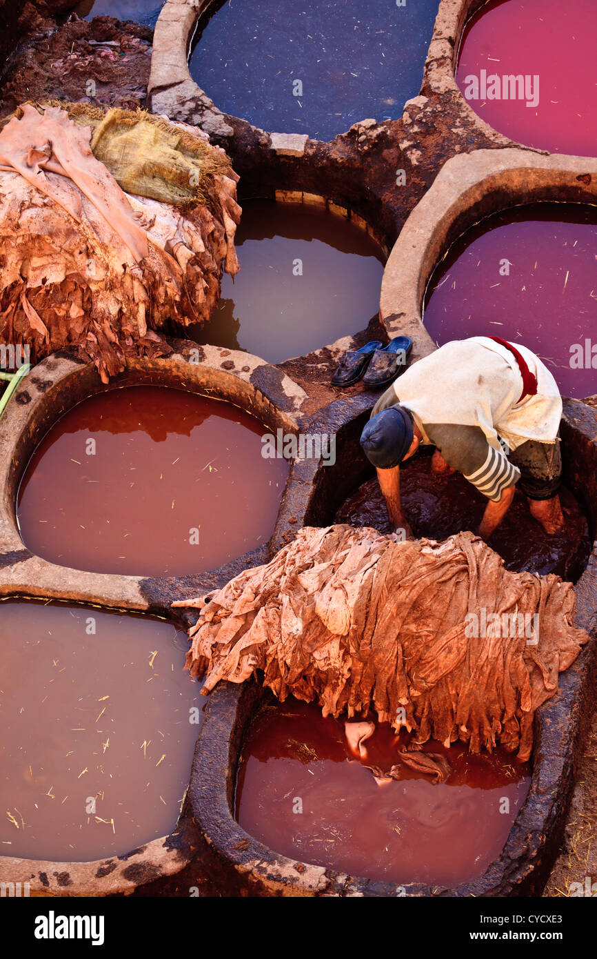 Man working with animal hides in colorful tanning pools of a ...