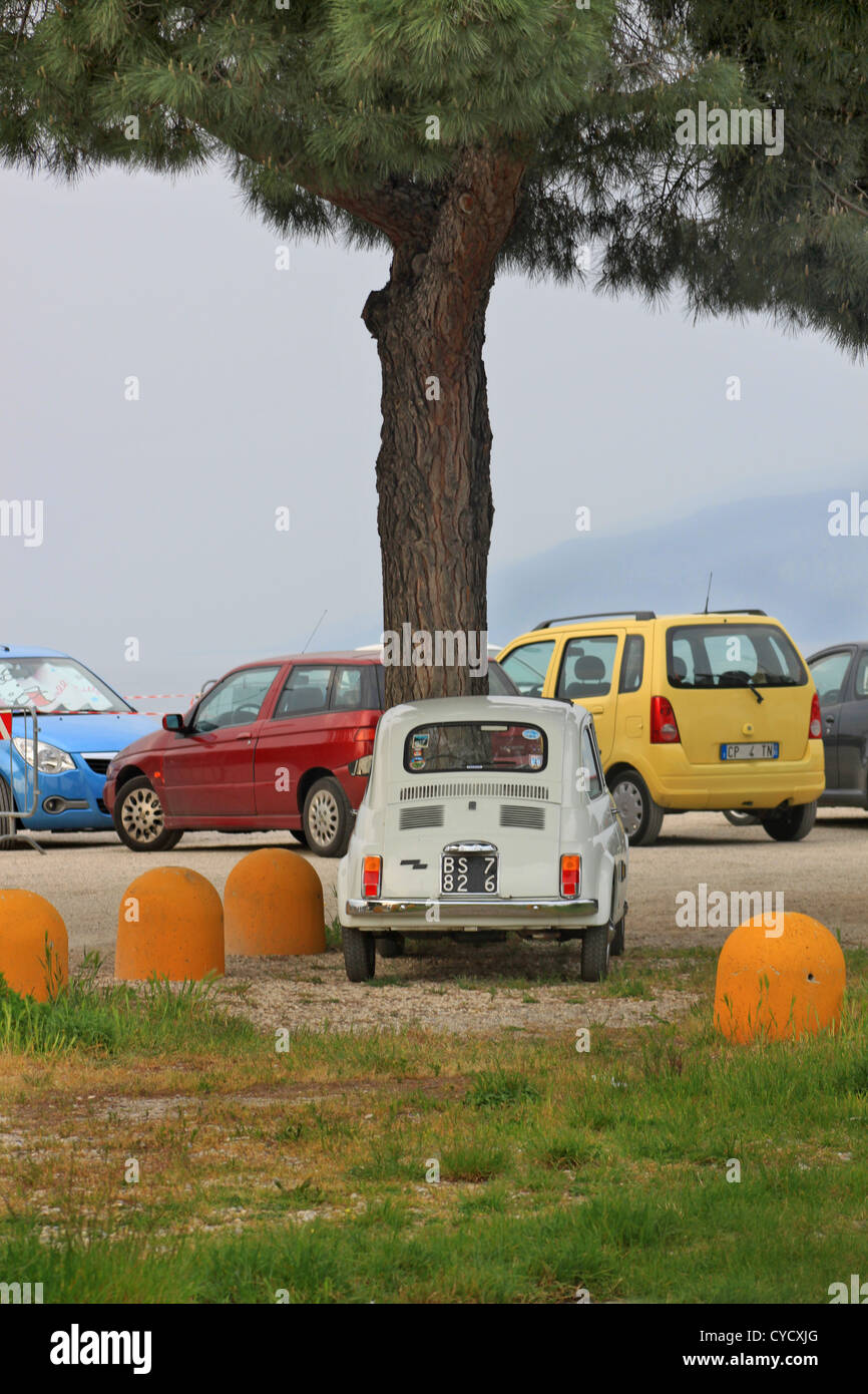 The small car has a rest in a tree shade Stock Photo - Alamy