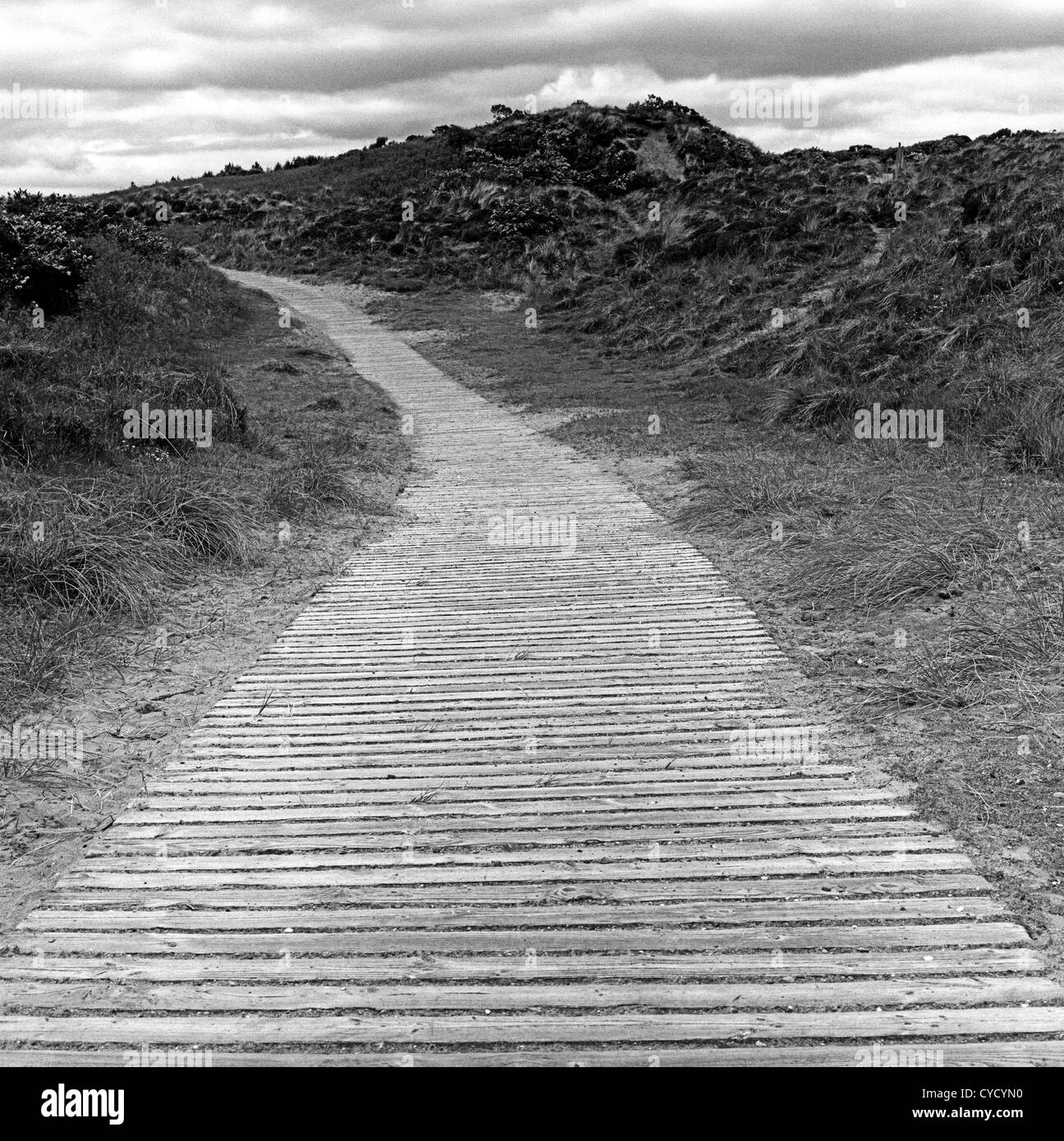 Wooden Walkway, Murlough Nature Reserve, Co Down, Northern Ireland ...