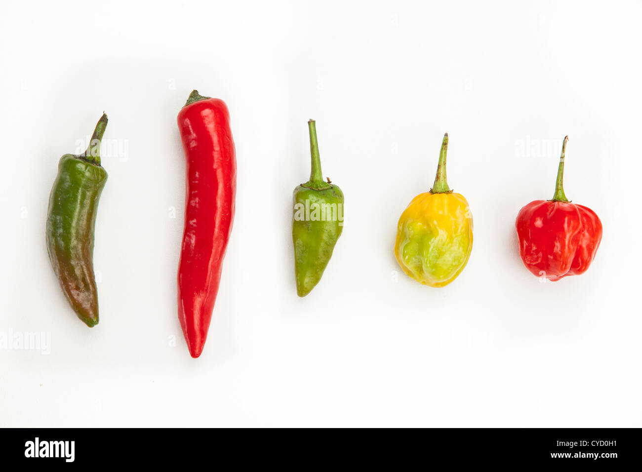 Line up of spicy chillies Stock Photo - Alamy