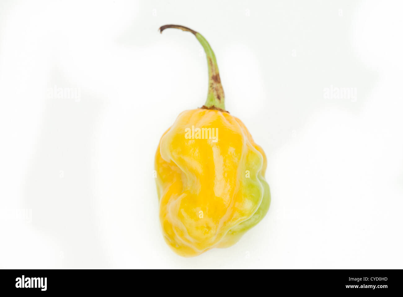 Yellow chili pepper Stock Photo - Alamy