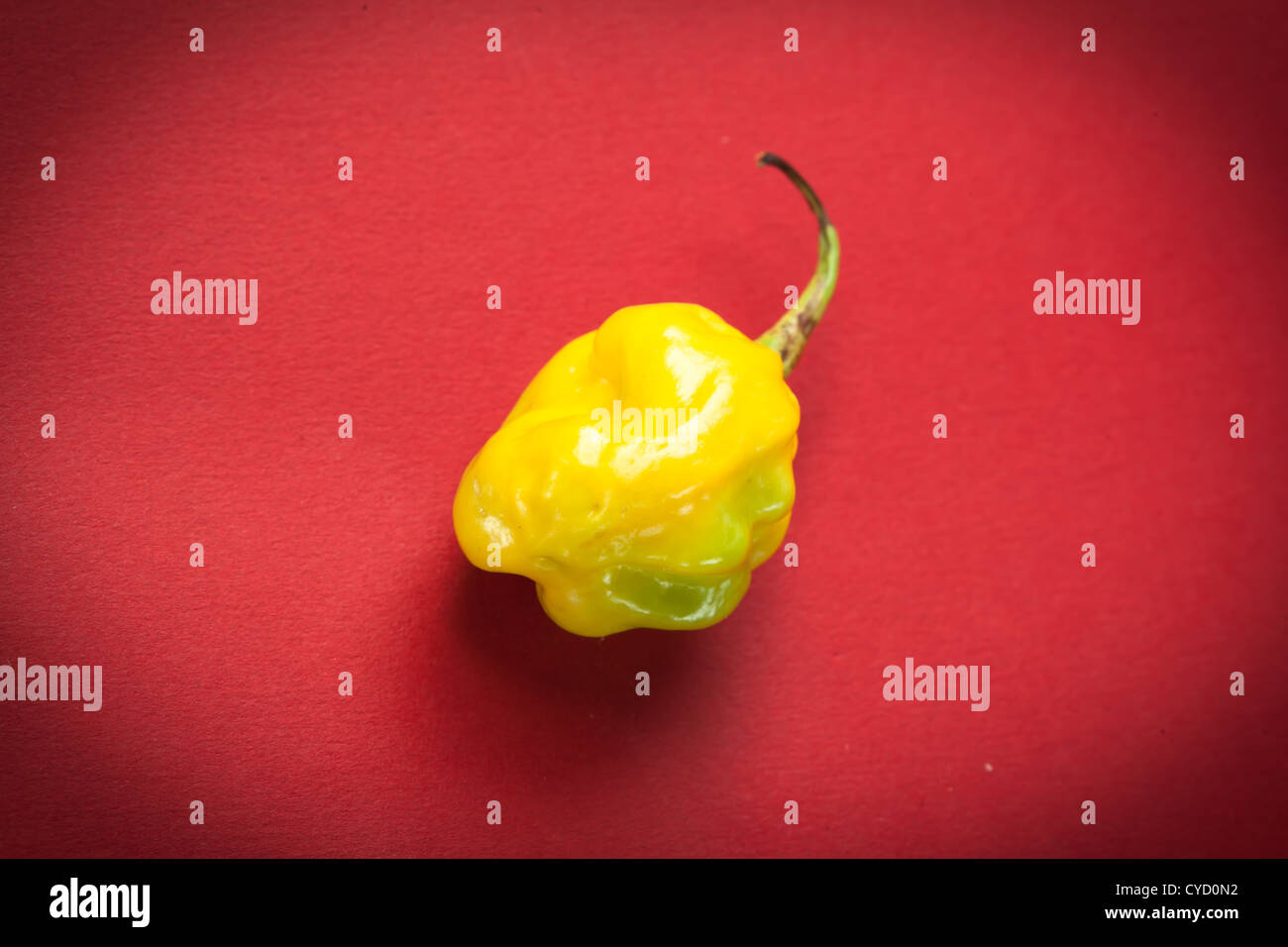 Small yellow chili pepper Stock Photo - Alamy