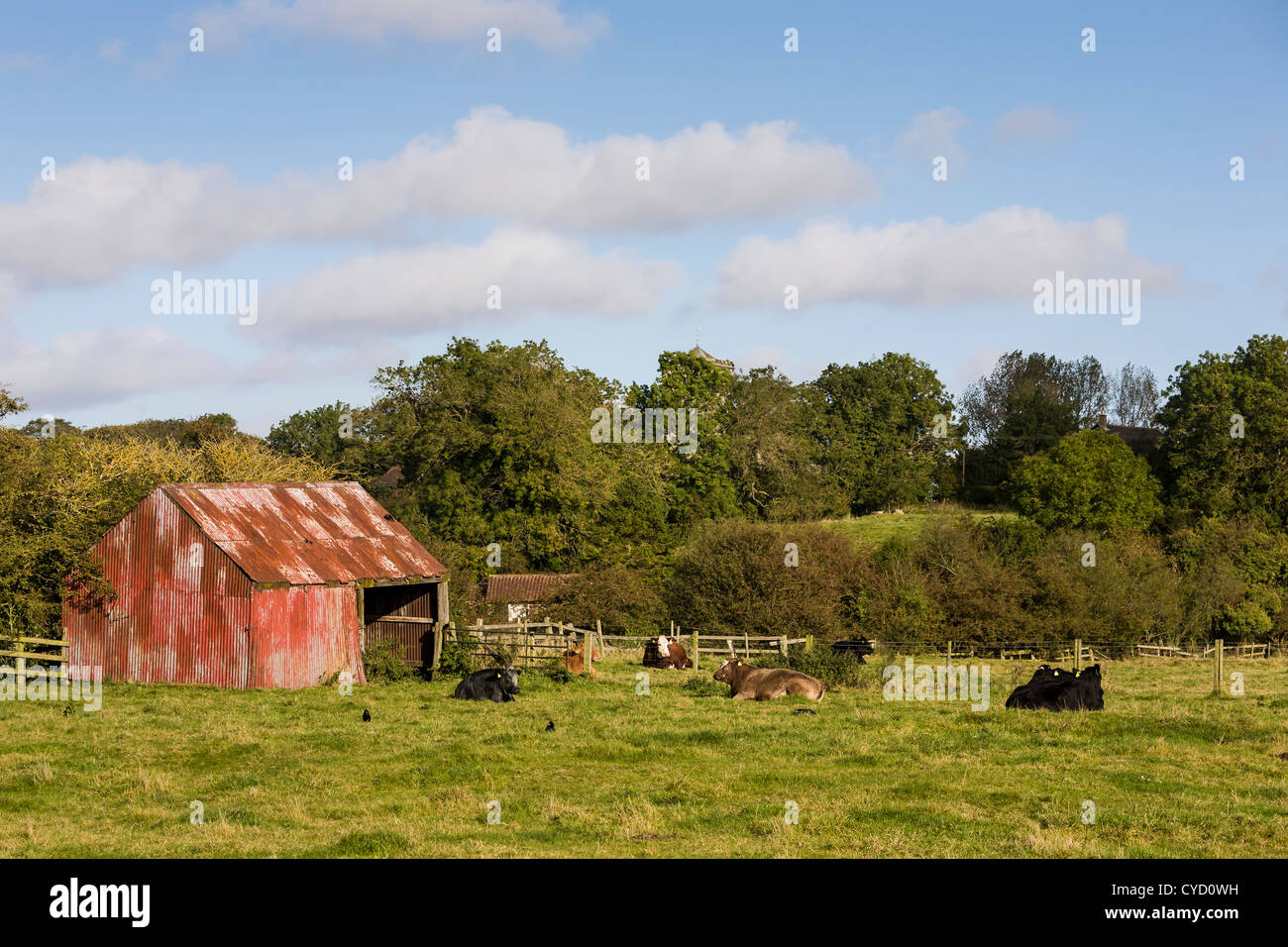 Rustic cow shed, Rudston, East Yorkshire, England Stock Photo - Alamy