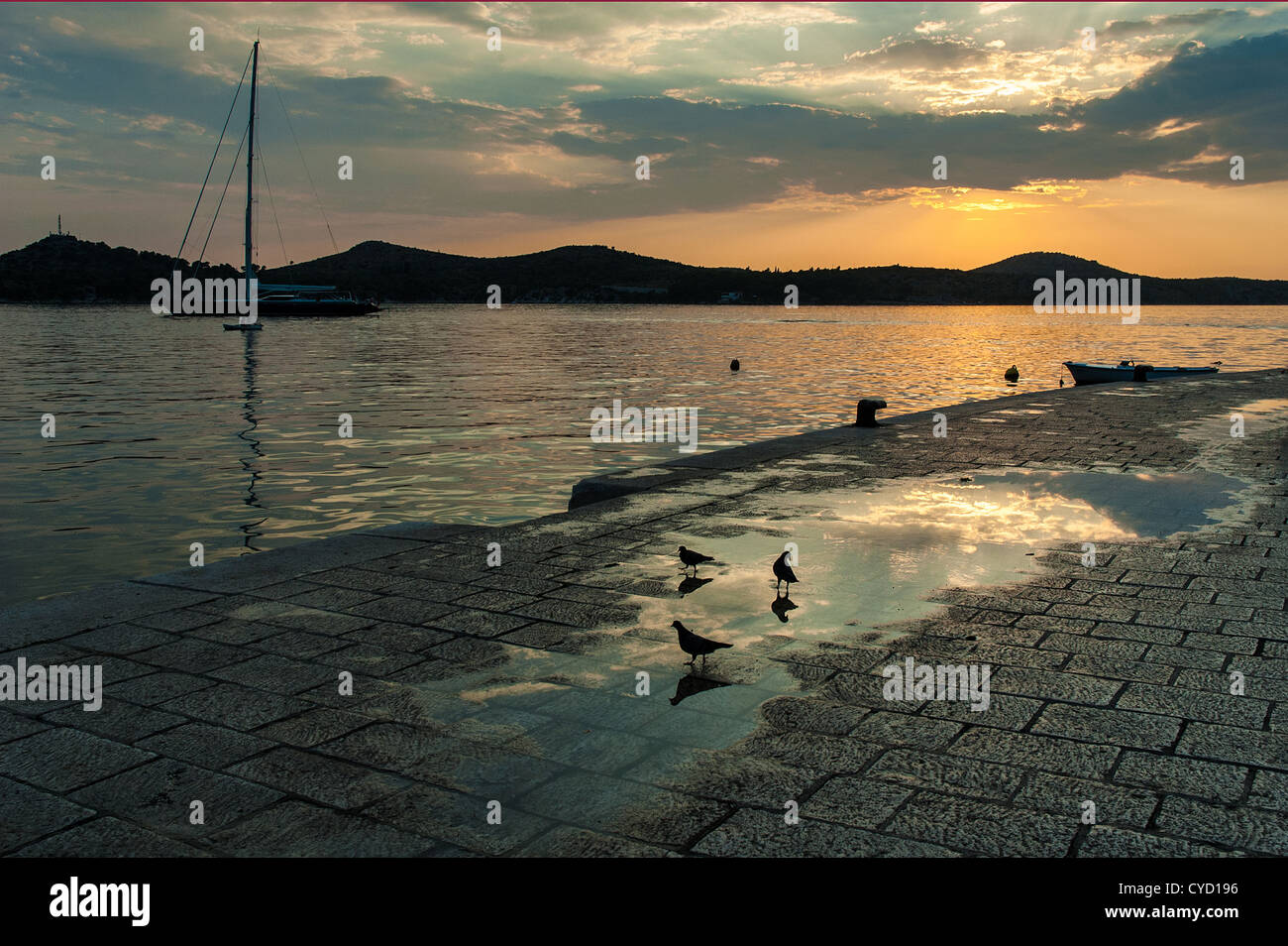 Romantic sunset after rain shower in Summer Stock Photo - Alamy
