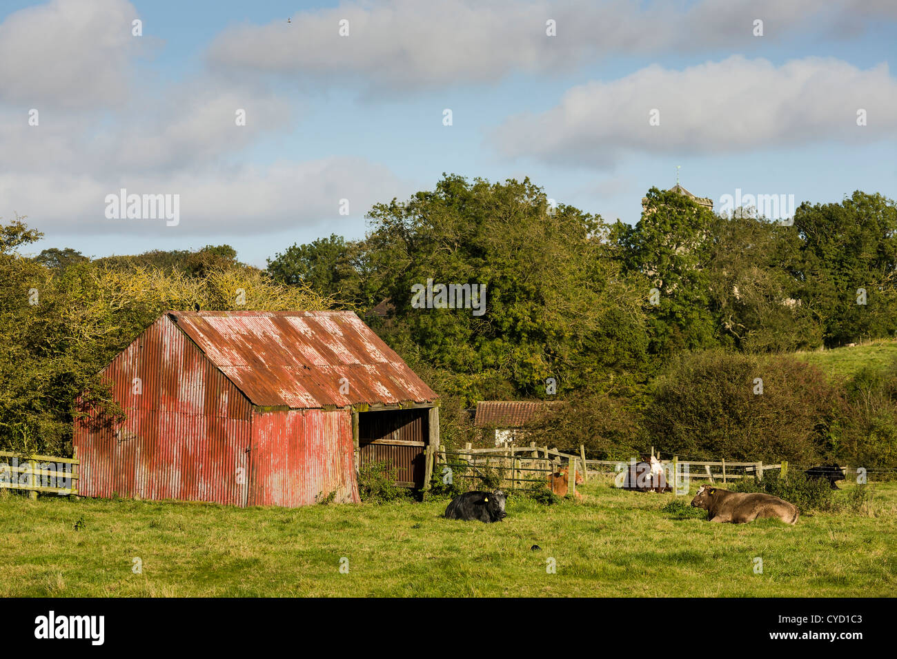Rustic cow shed, Rudston, East Yorkshire, England Stock Photo - Alamy