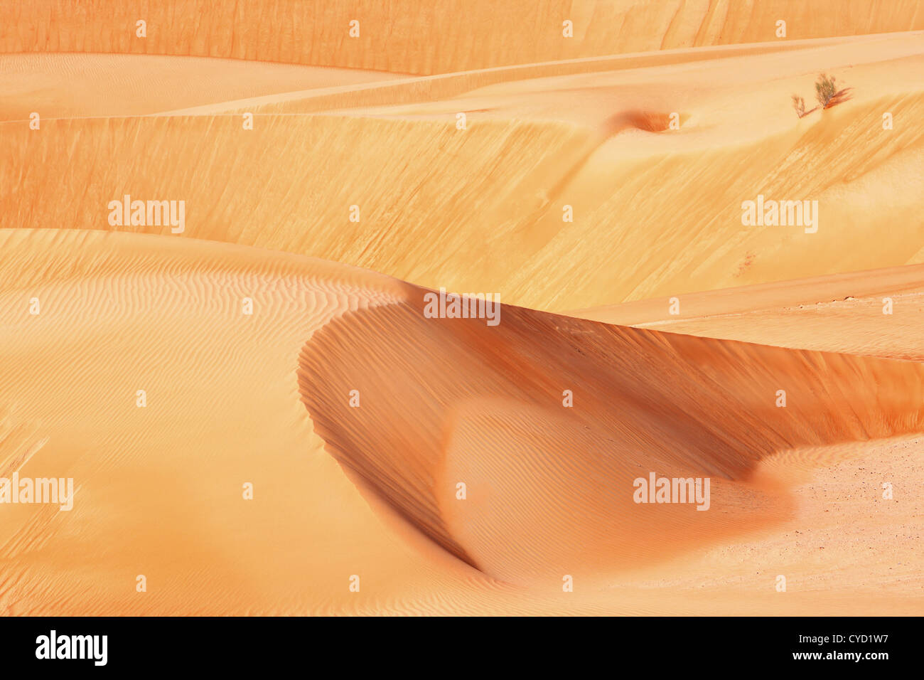 A view of the rolling sand dunes of the Arabian desert Stock Photo - Alamy