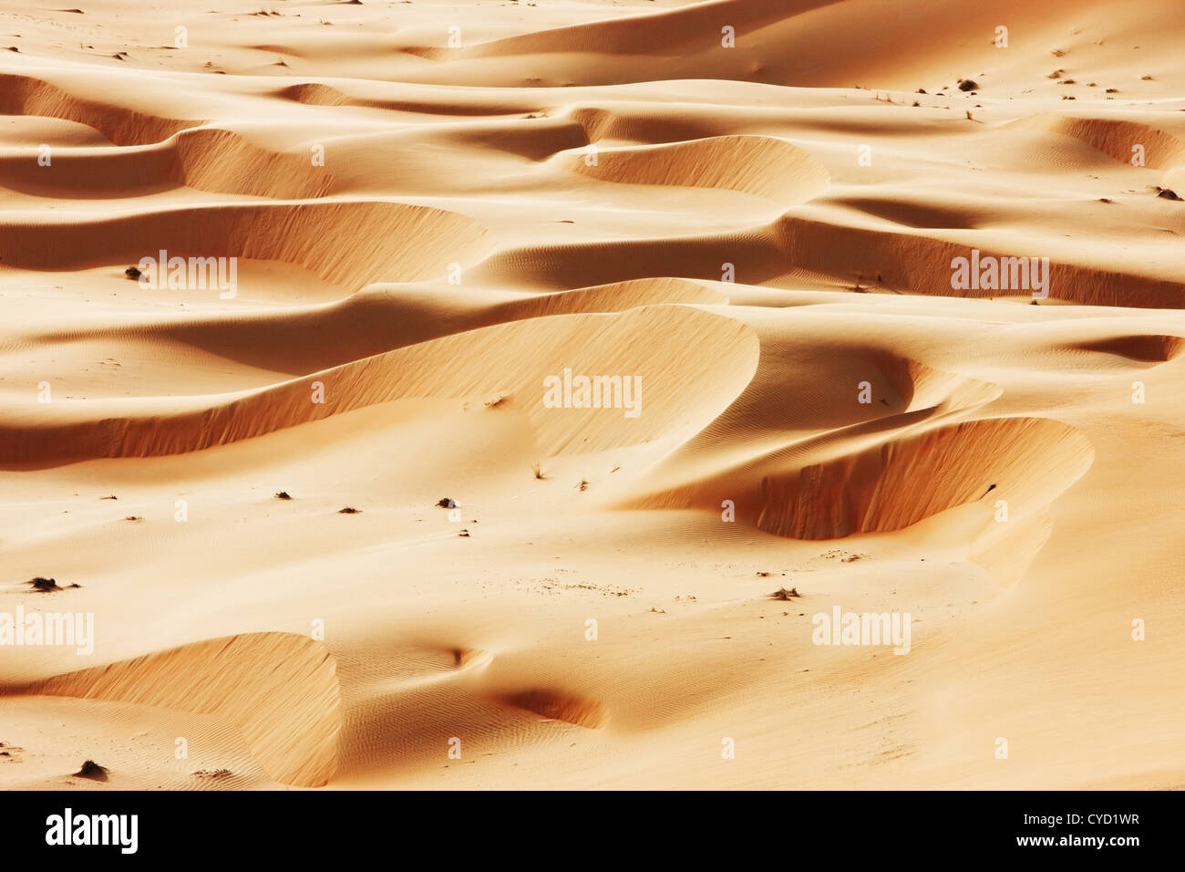 A view of the rolling sand dunes of the Arabian desert Stock Photo - Alamy