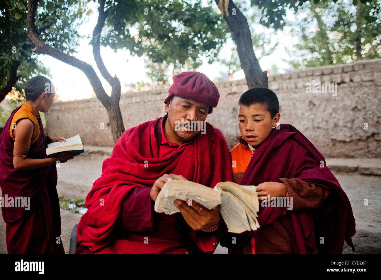 Novice monks studying on the grounds at Hemis Monastery in India Stock ...