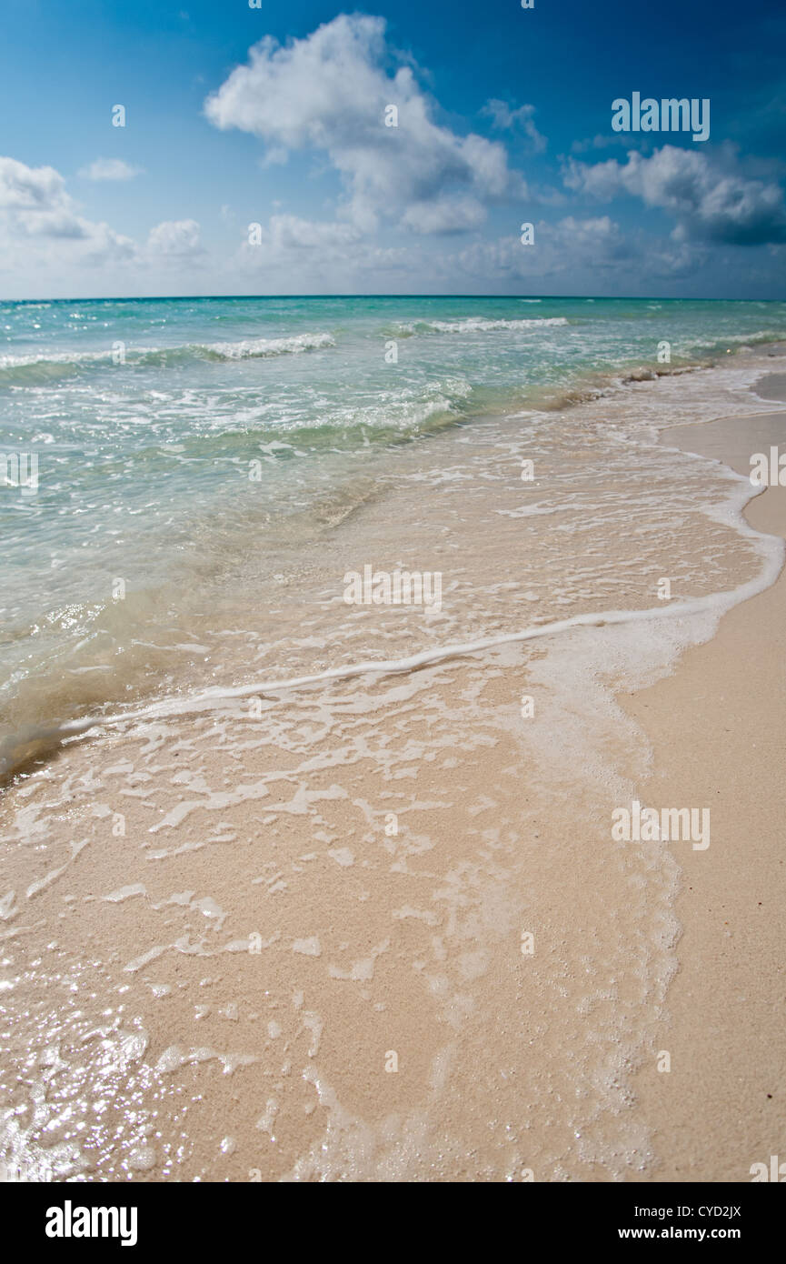 Grand bahama island hi-res stock photography and images - Alamy