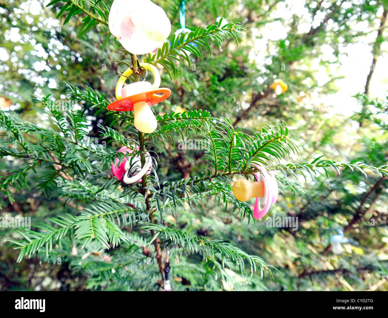 Dummy Fairy Tree High Resolution Stock Photography and Images - Alamy