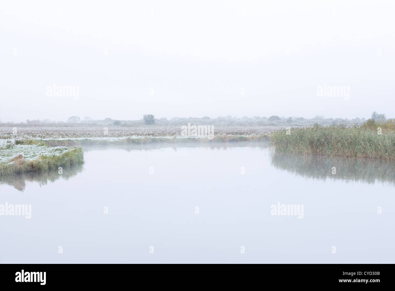 River Suur-Emajõgi at dawn Stock Photo - Alamy