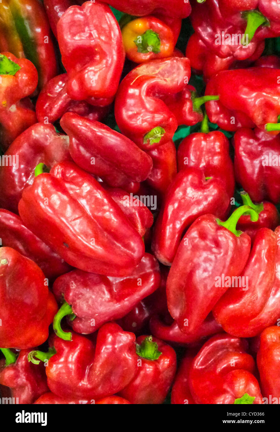 Red paprikas background Stock Photo - Alamy