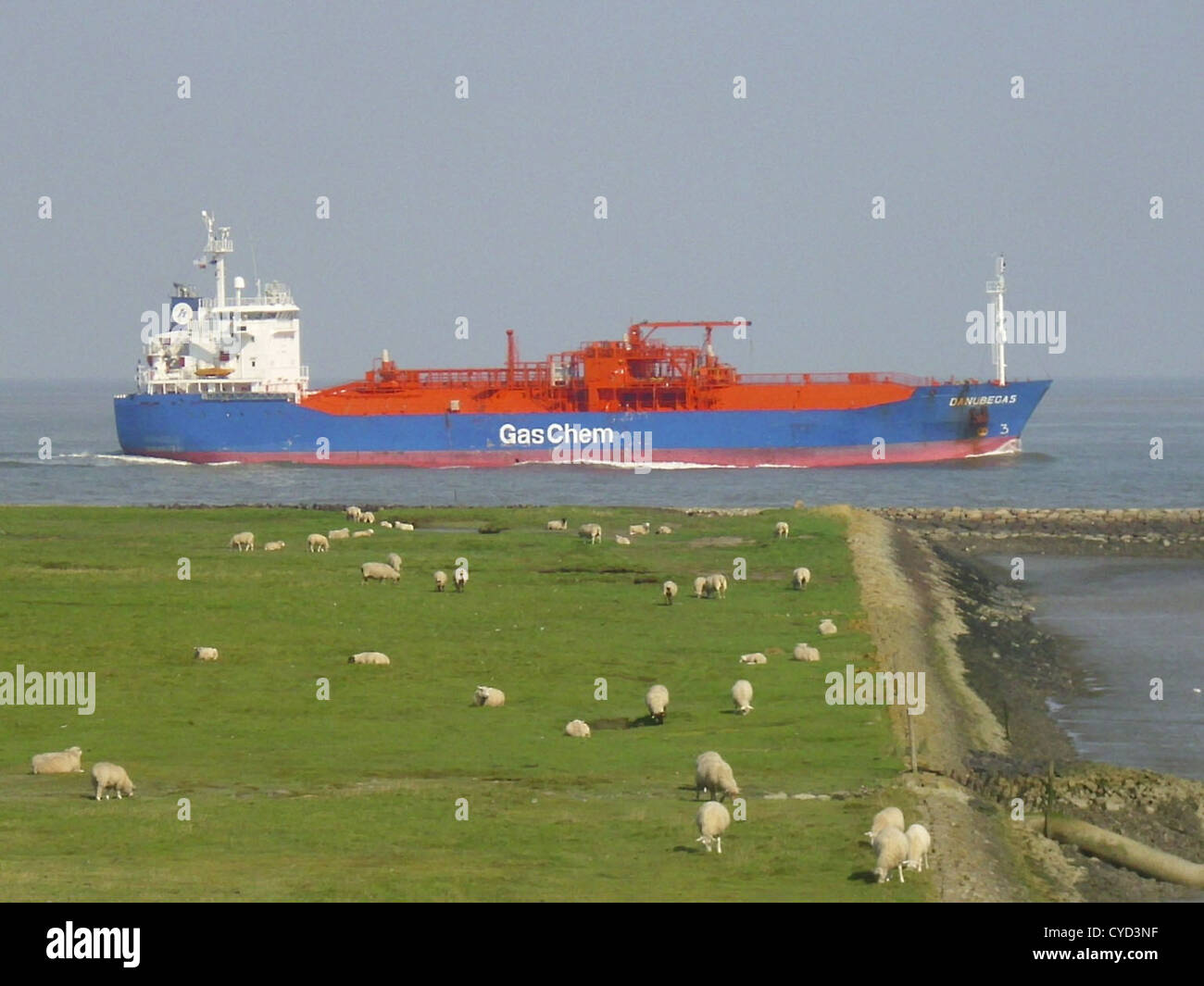 The LPG tanker 'Danubegas' is an important vessel for transporting ...