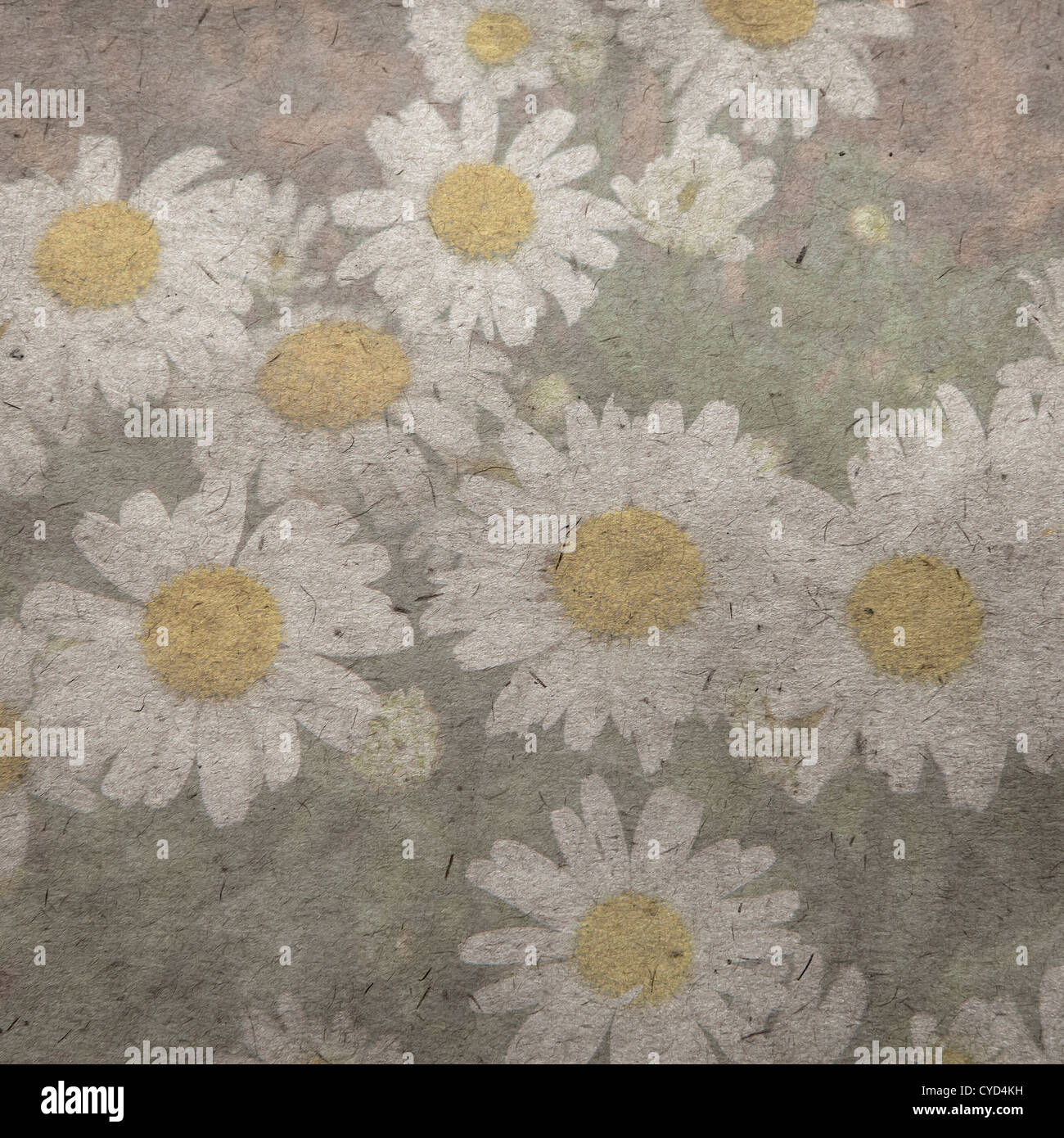 vintage wallpaper background with daisy Stock Photo - Alamy