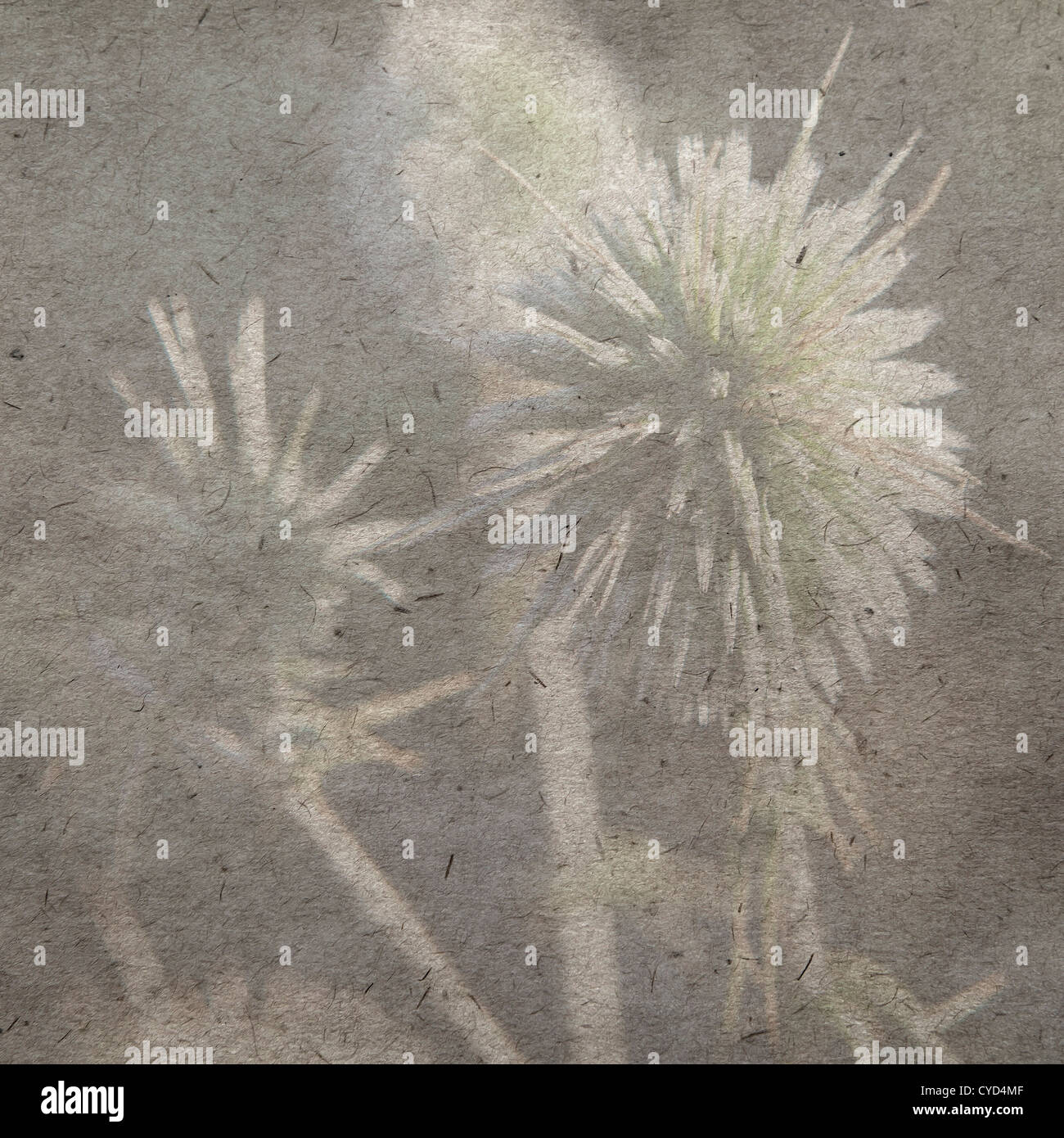vintage wallpaper background with grass Stock Photo - Alamy