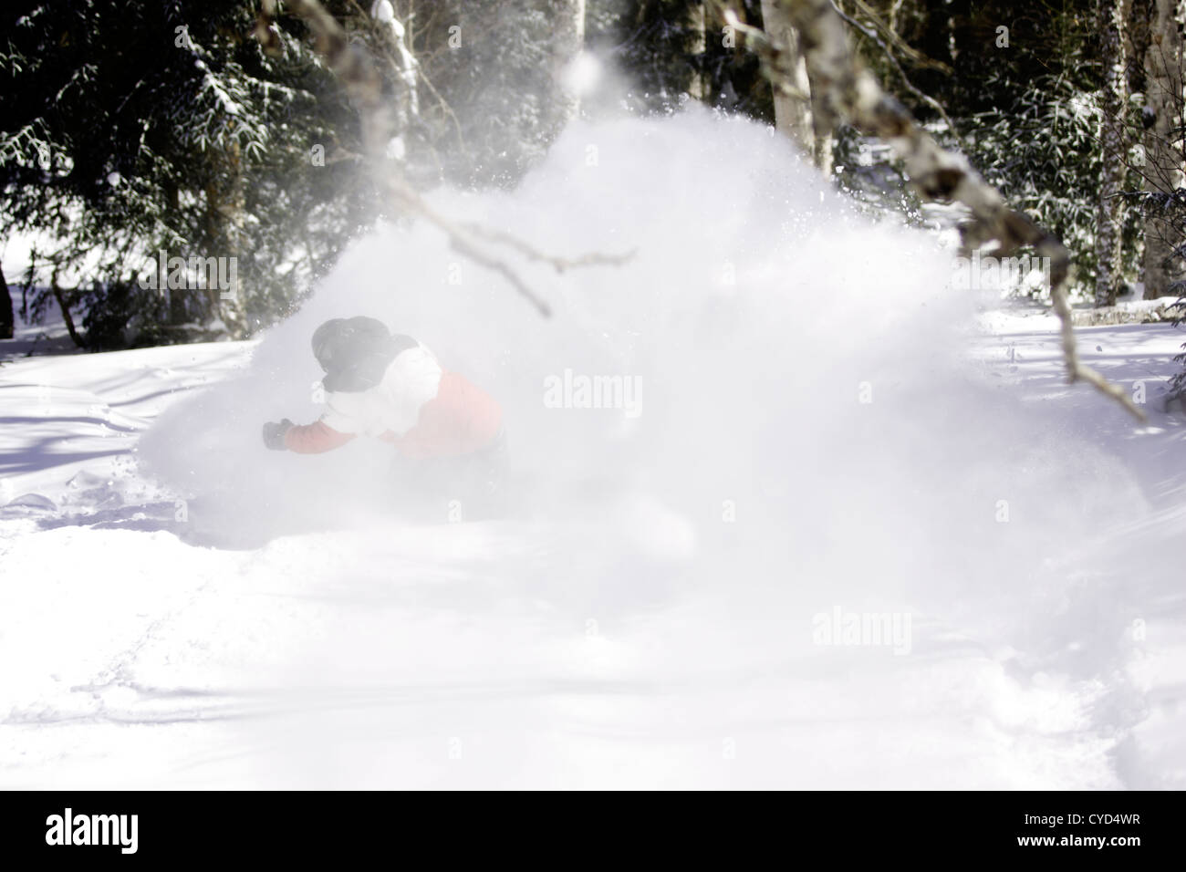 Patrick cassidy hi-res stock photography and images - Alamy