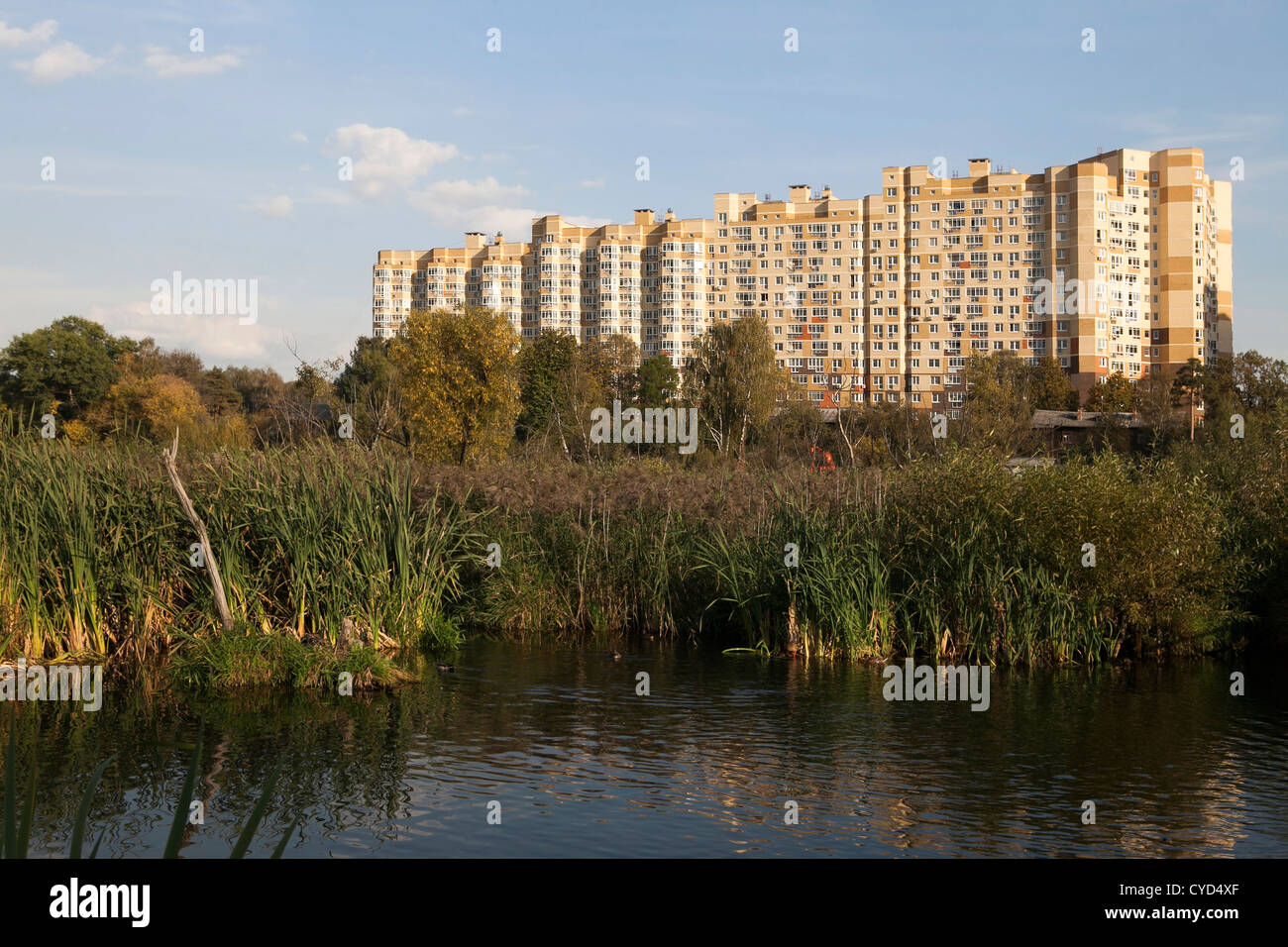 urban landscape. River reeds and a reflection of a high-rise building ...
