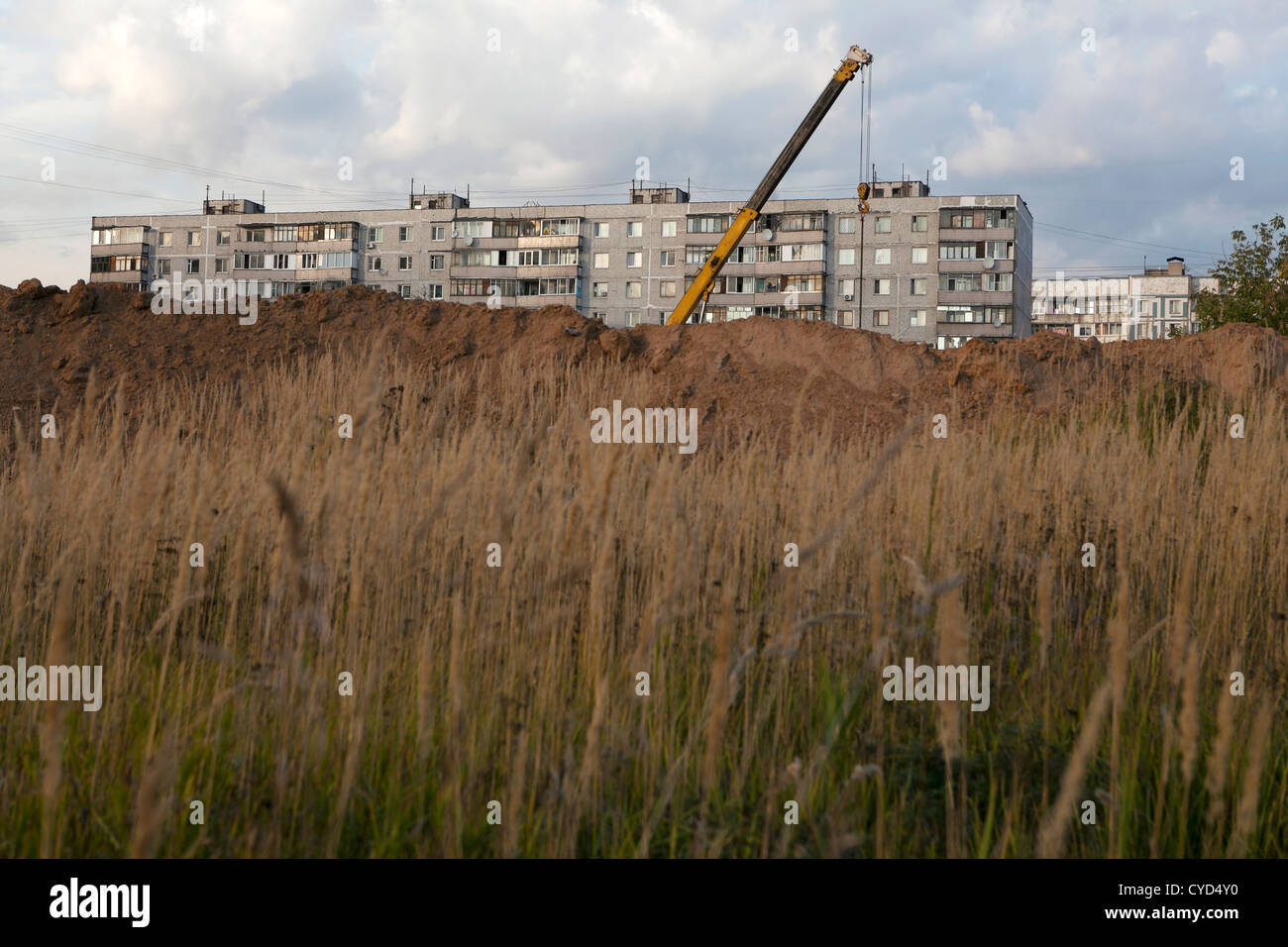 urban landscape. River reeds and a reflection of a high-rise building ...