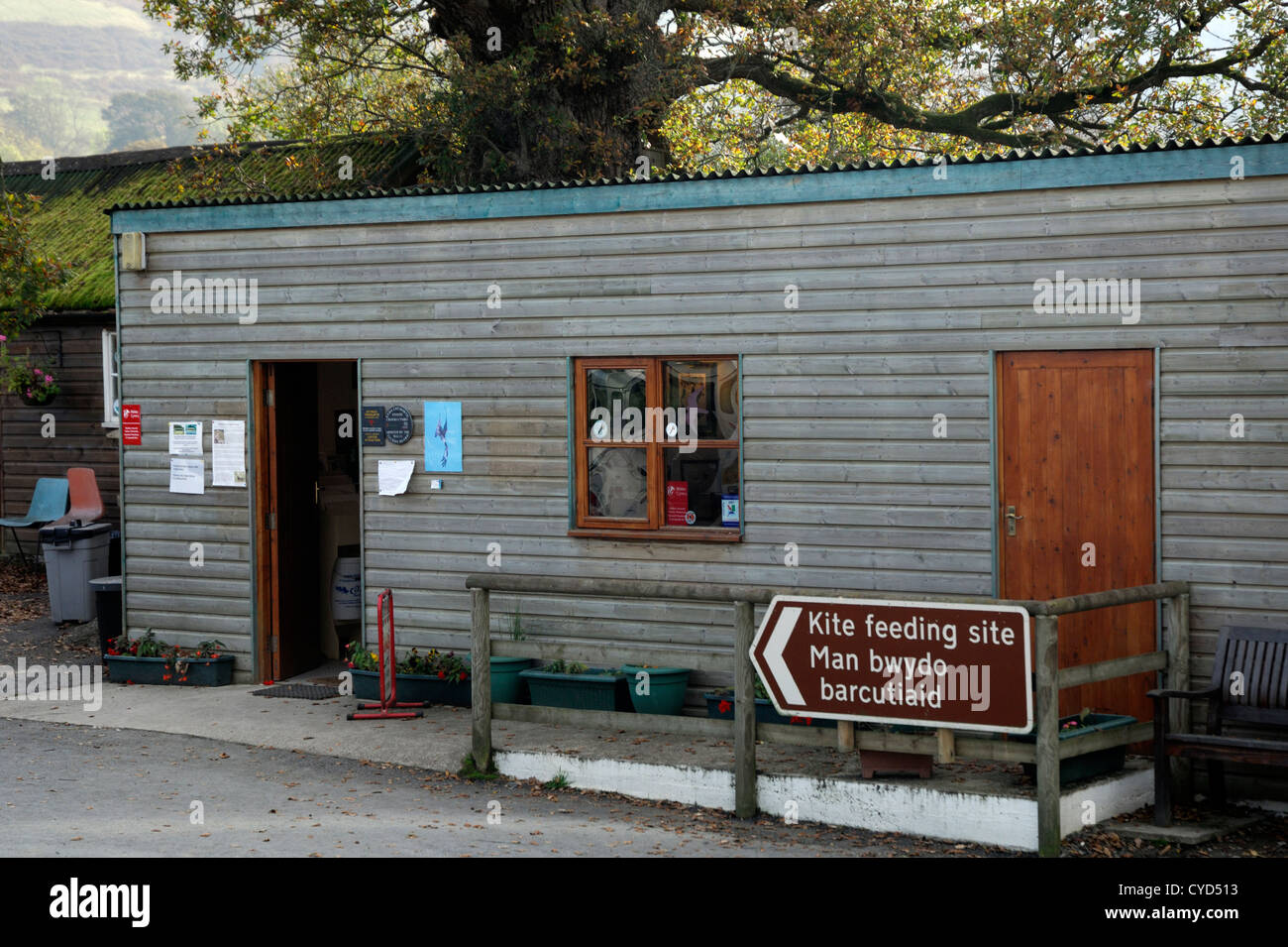 Gigrin farm red kite feeding centre hi-res stock photography and images ...