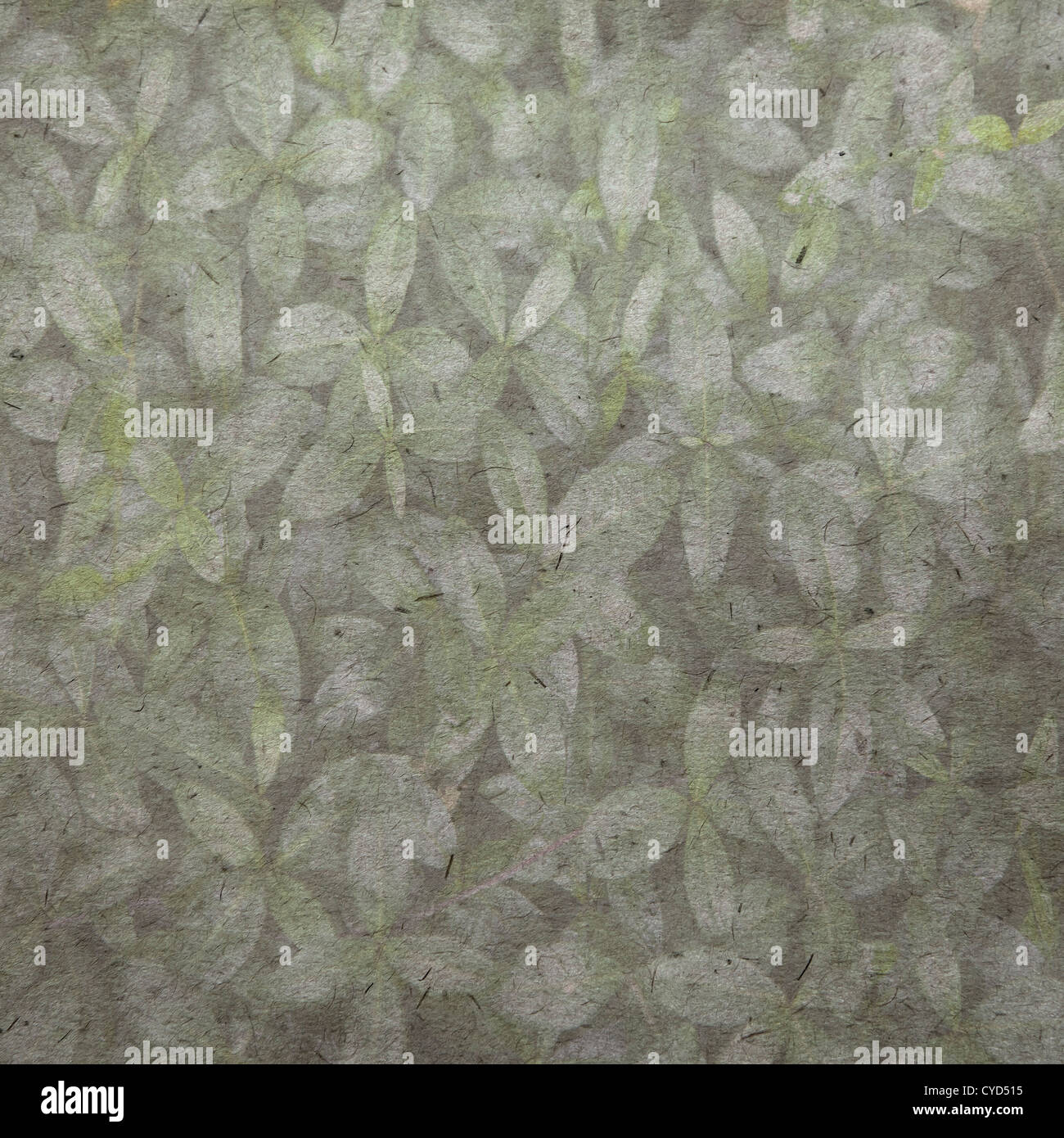 vintage wallpaper background with leaf Stock Photo - Alamy