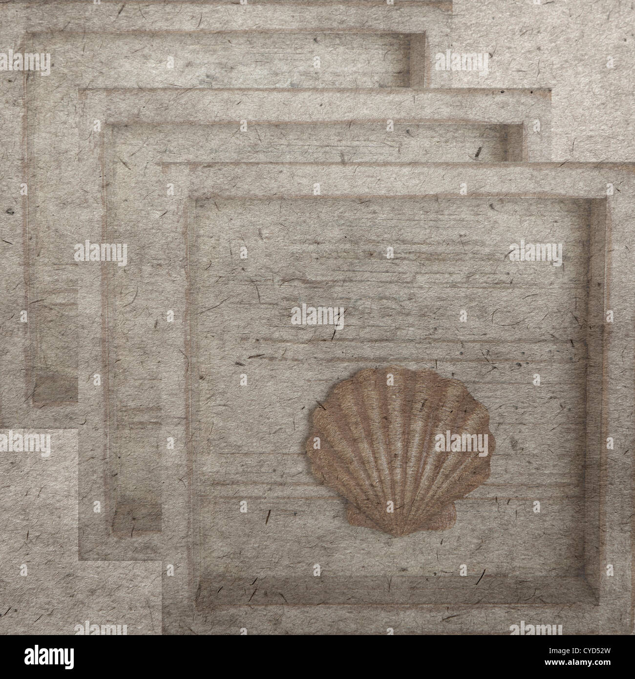 vintage wallpaper background with seashell Stock Photo - Alamy