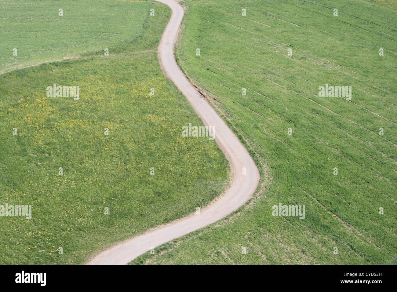 Tranquil small path way through countryside grassland Stock Photo - Alamy